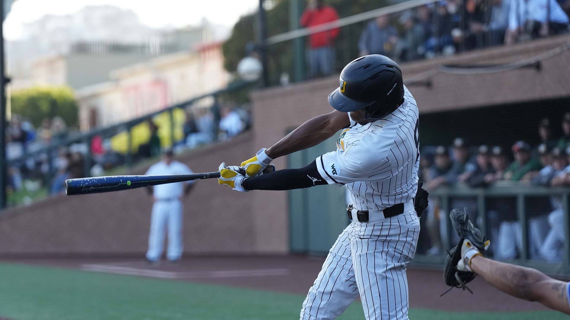 Darius Foster - Baseball - University of San Francisco Athletics