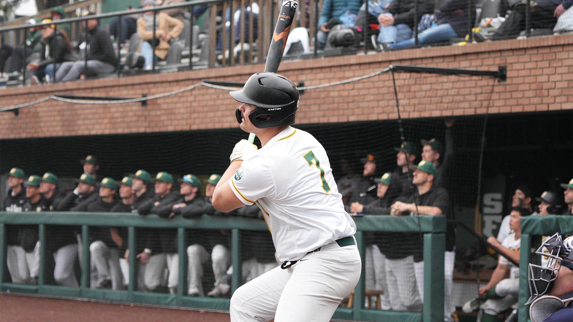 Christian Stapleton - Baseball - University of San Francisco Athletics