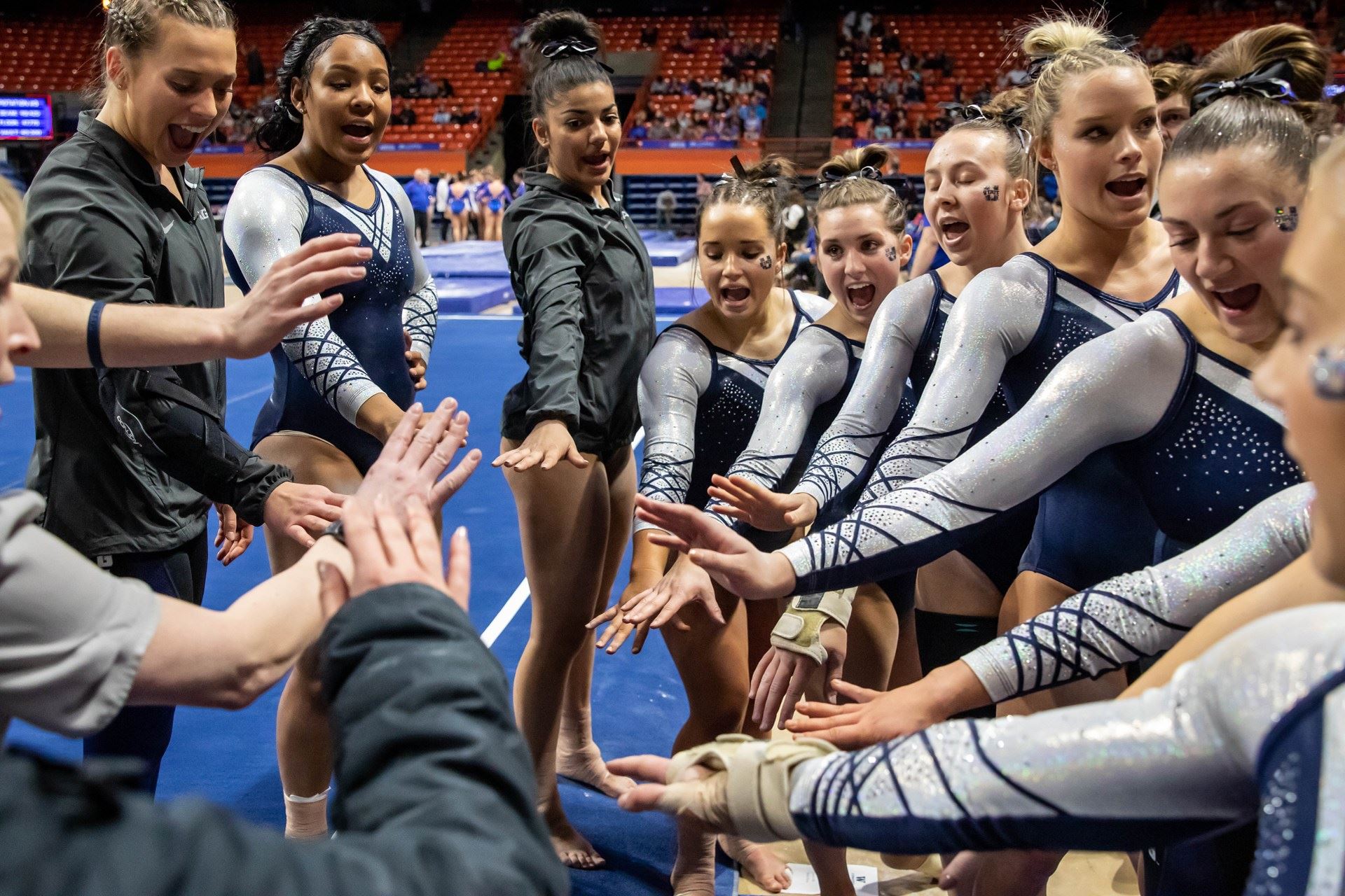 Eight Utah State Gymnasts Earn Scholastic All-America Award Accolades ...