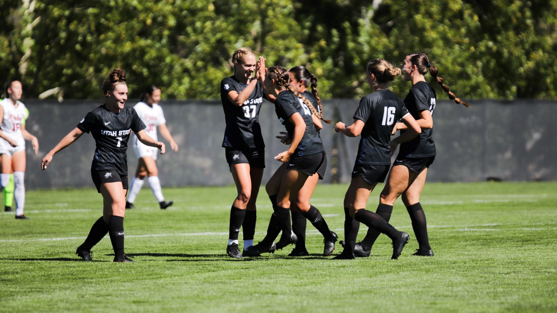Utah State Soccer Places Six Players on CSC Academic All-District Team ...