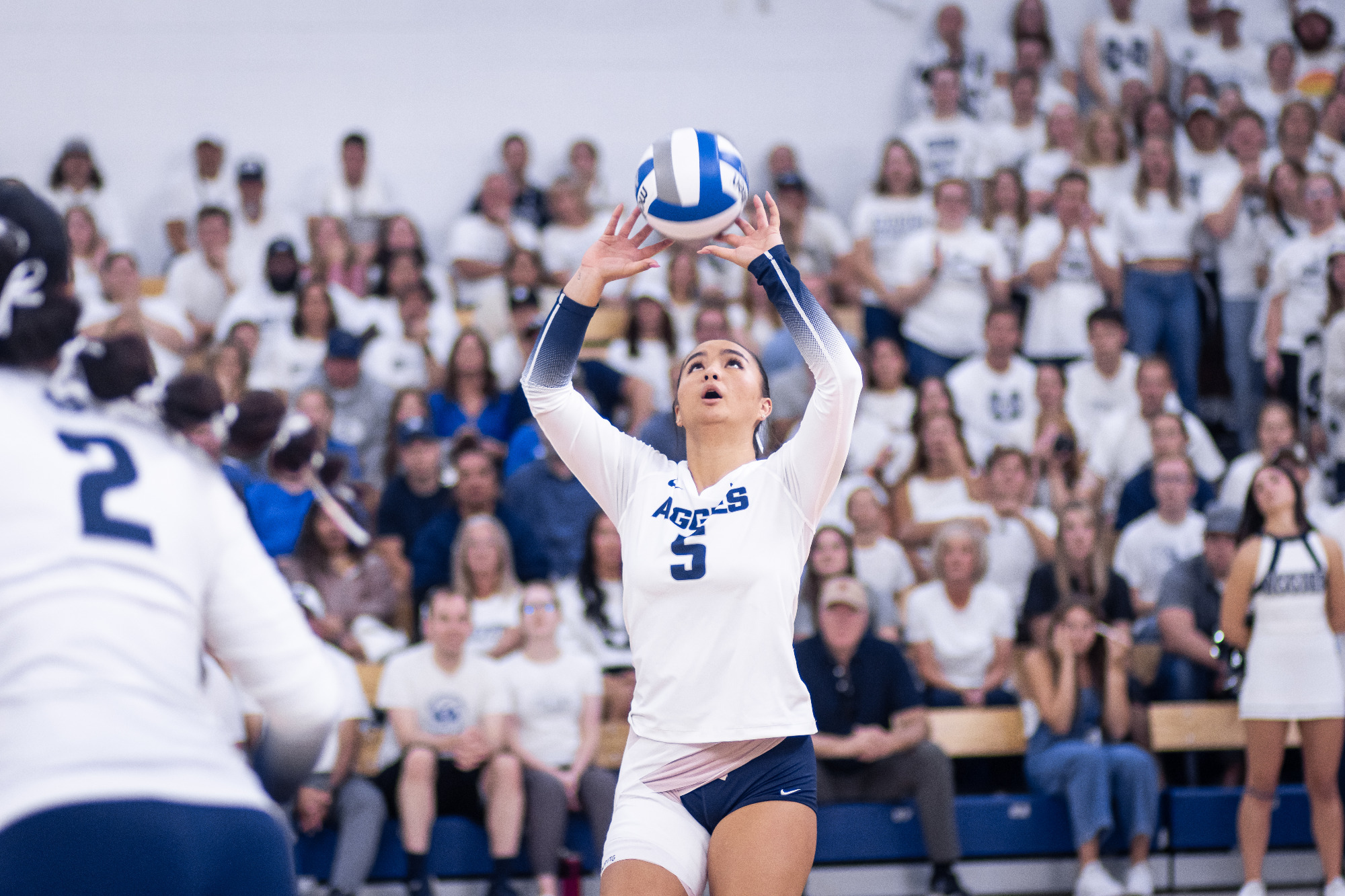 Utah State Volleyball Loses Three Set Battle To No 12 Byu Utah State