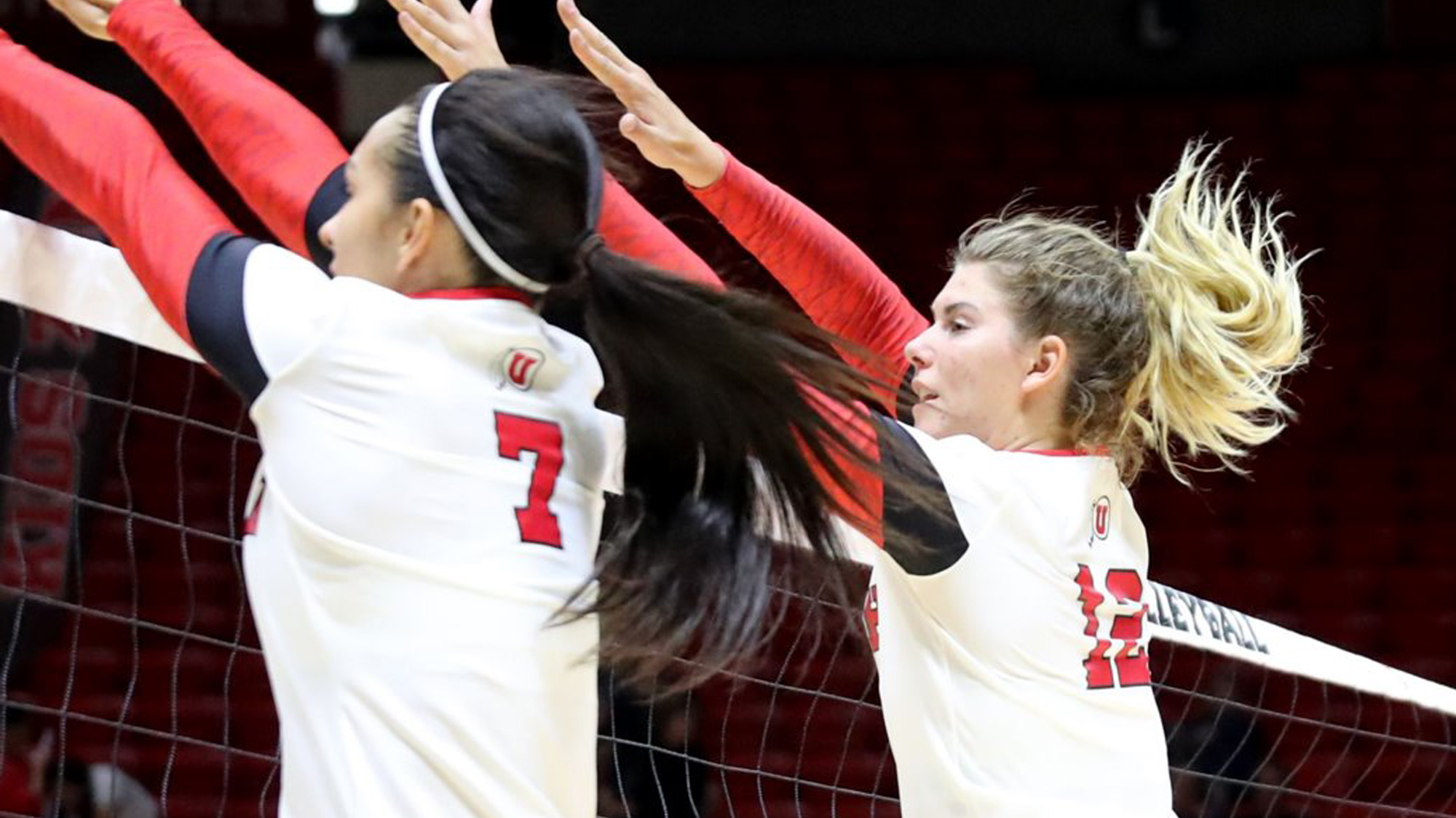 Berkeley Oblad - Volleyball - University of Utah Athletics