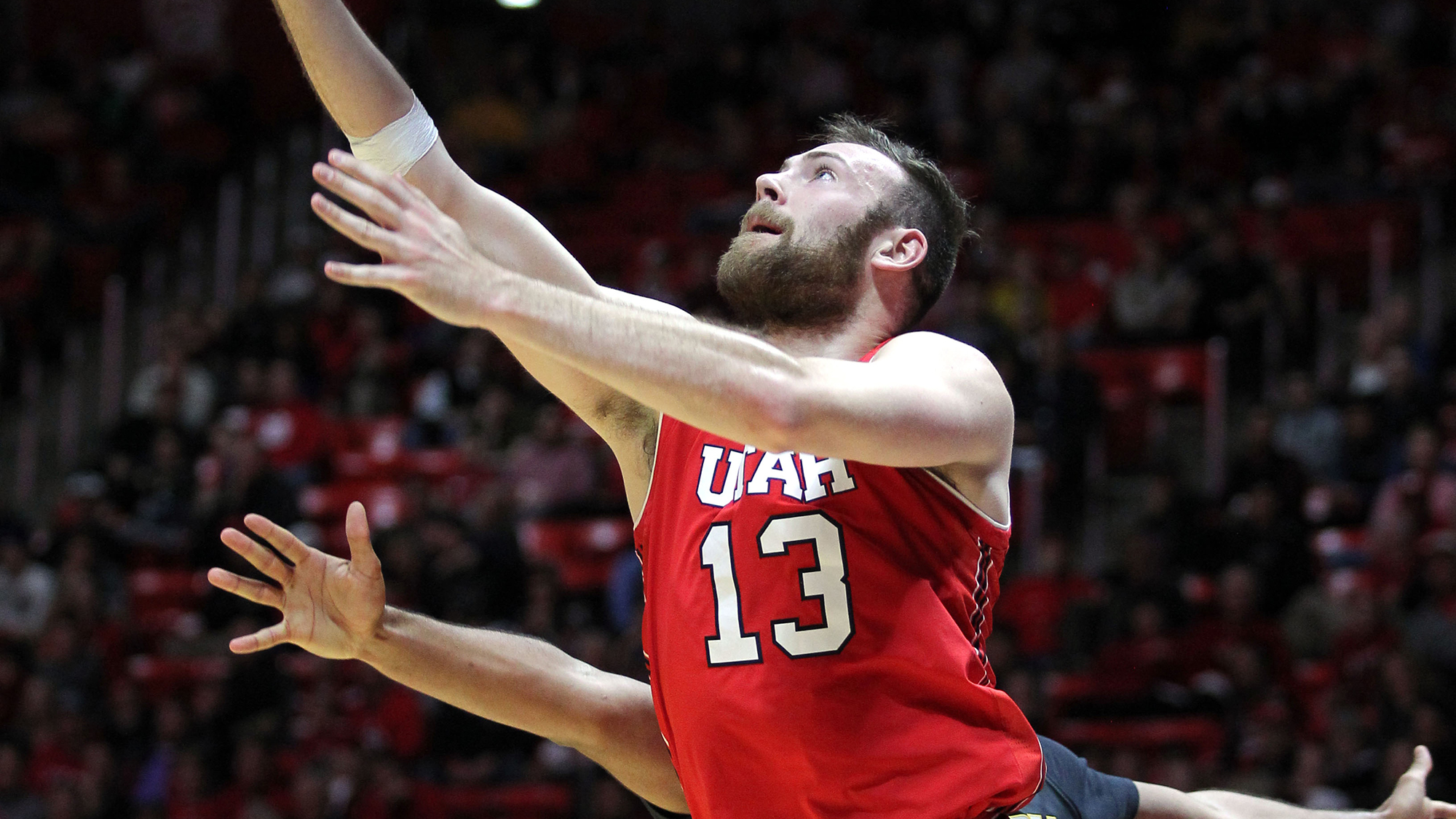 David Collette - Men's Basketball - University of Utah Athletics