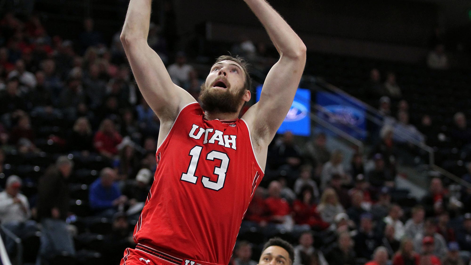 David Collette - Men's Basketball - University of Utah Athletics