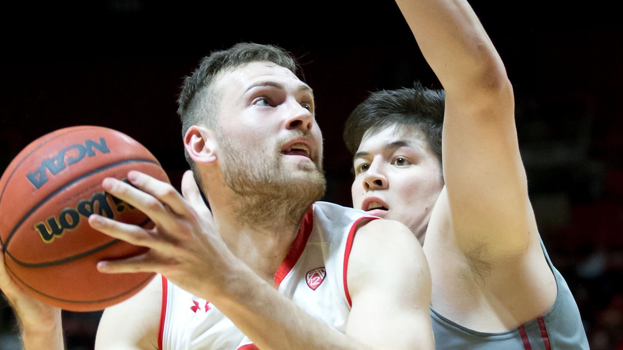 David Collette - Men's Basketball - University of Utah Athletics