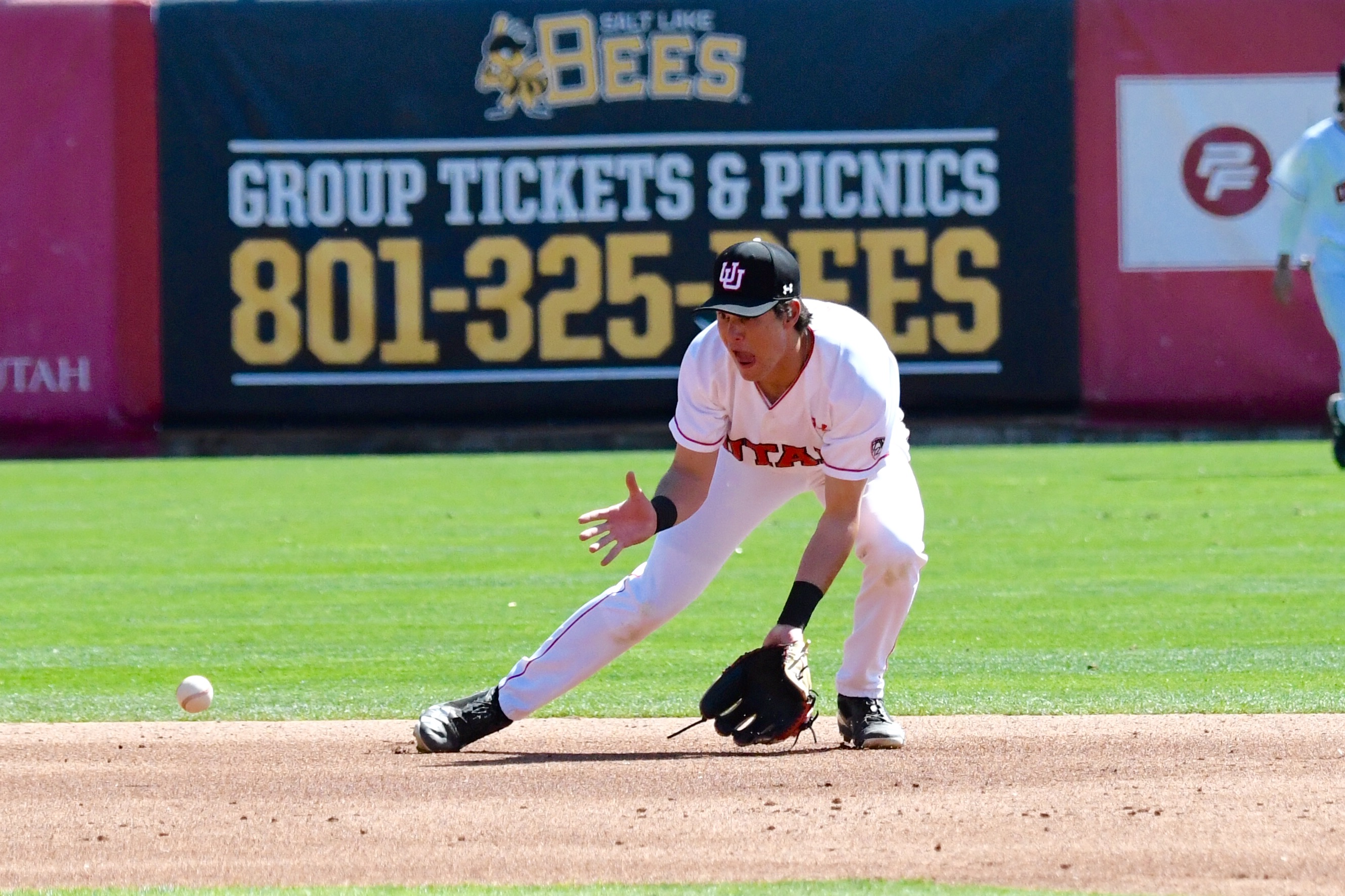Ellis Kelly - Baseball - University of Utah Athletics