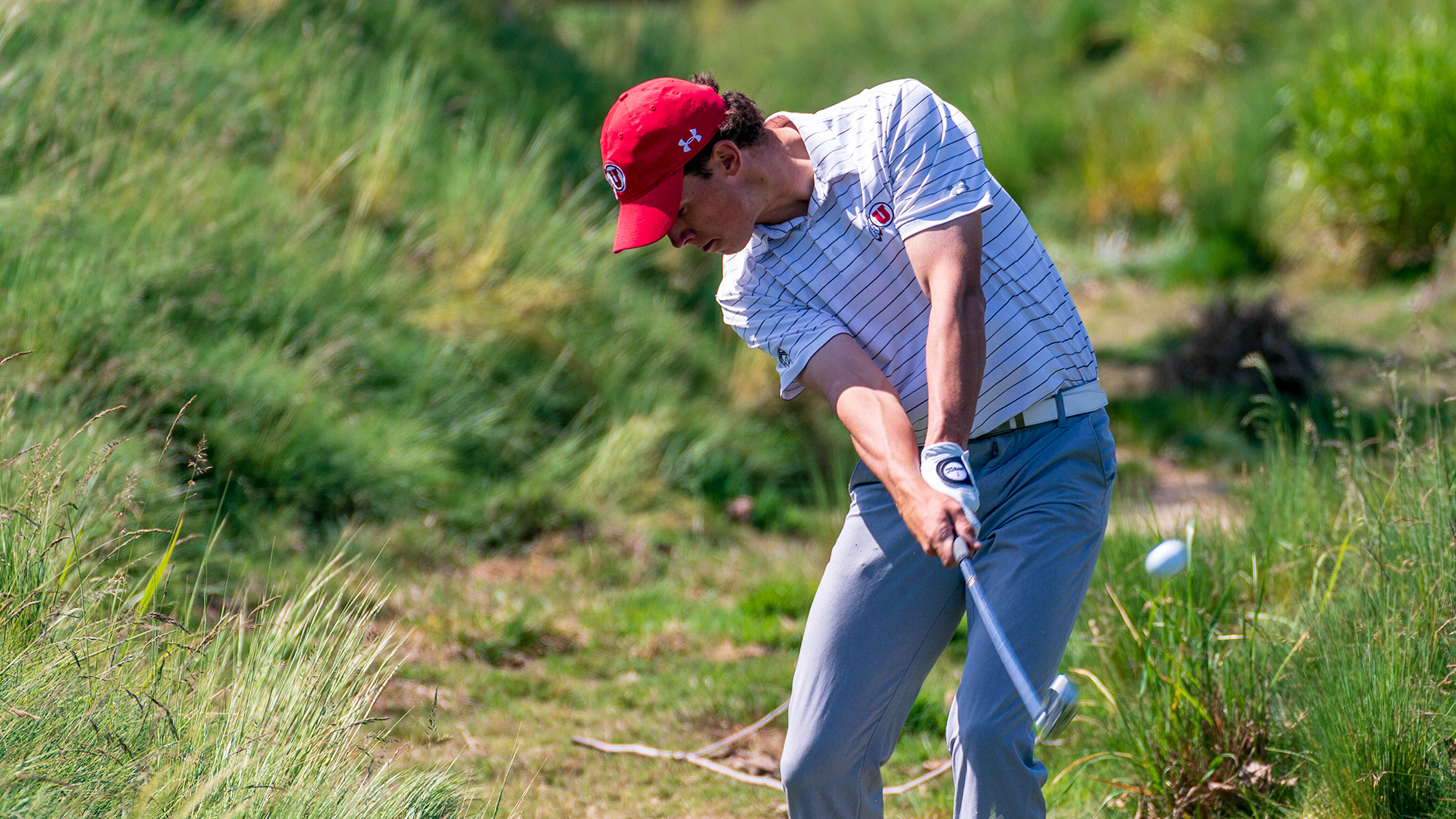 Blake Tomlinson - Men's Golf - University of Utah Athletics