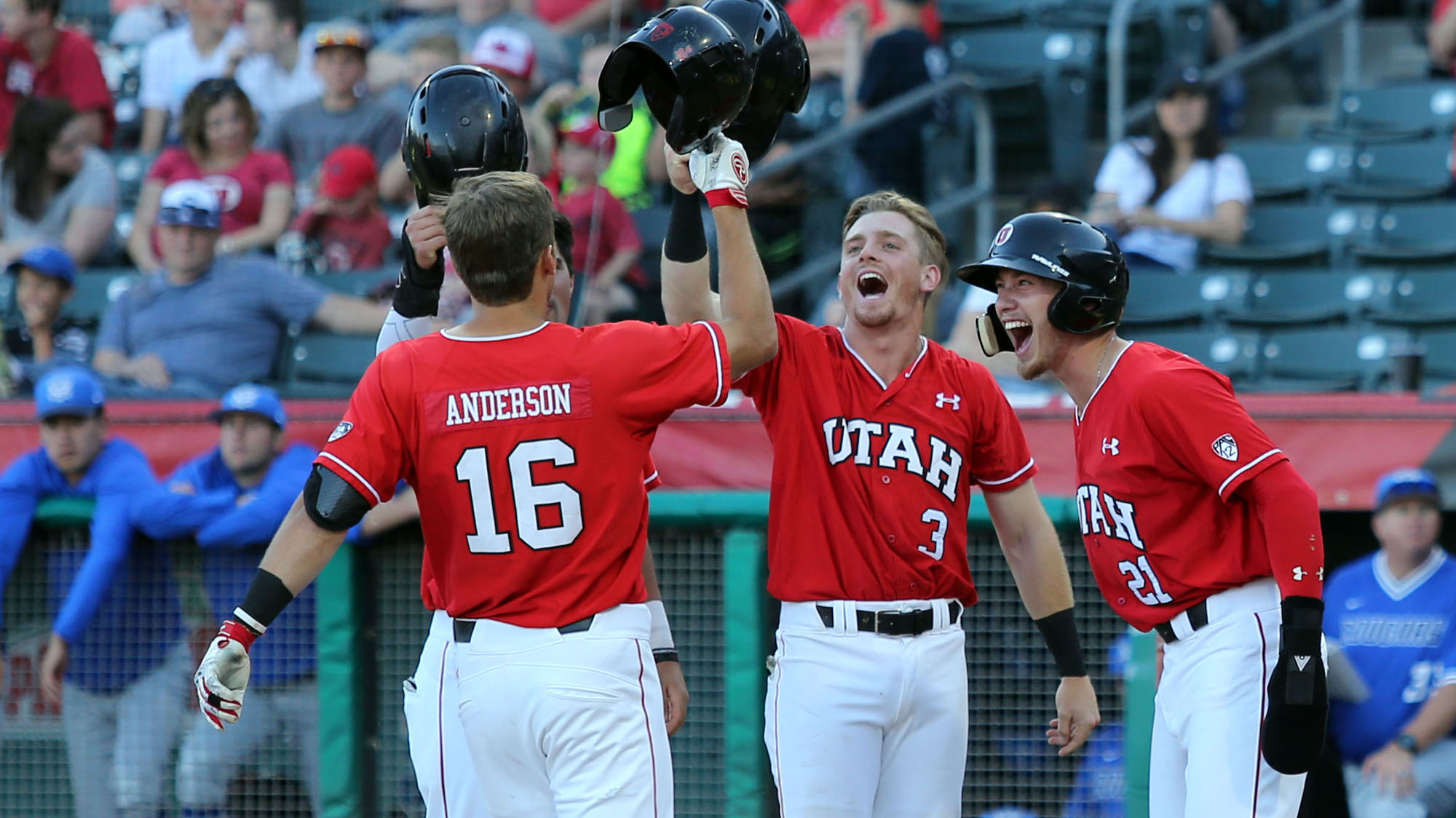 Chandler Anderson - Baseball - University of Utah Athletics