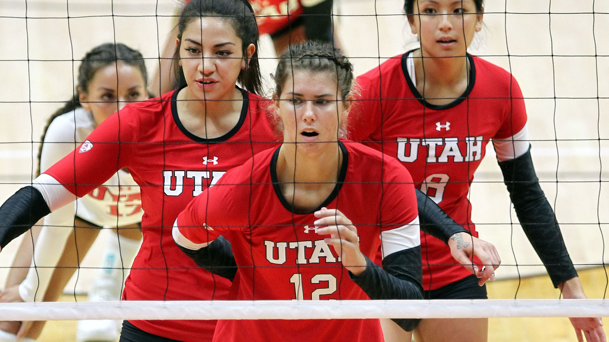Berkeley Oblad - Volleyball - University of Utah Athletics