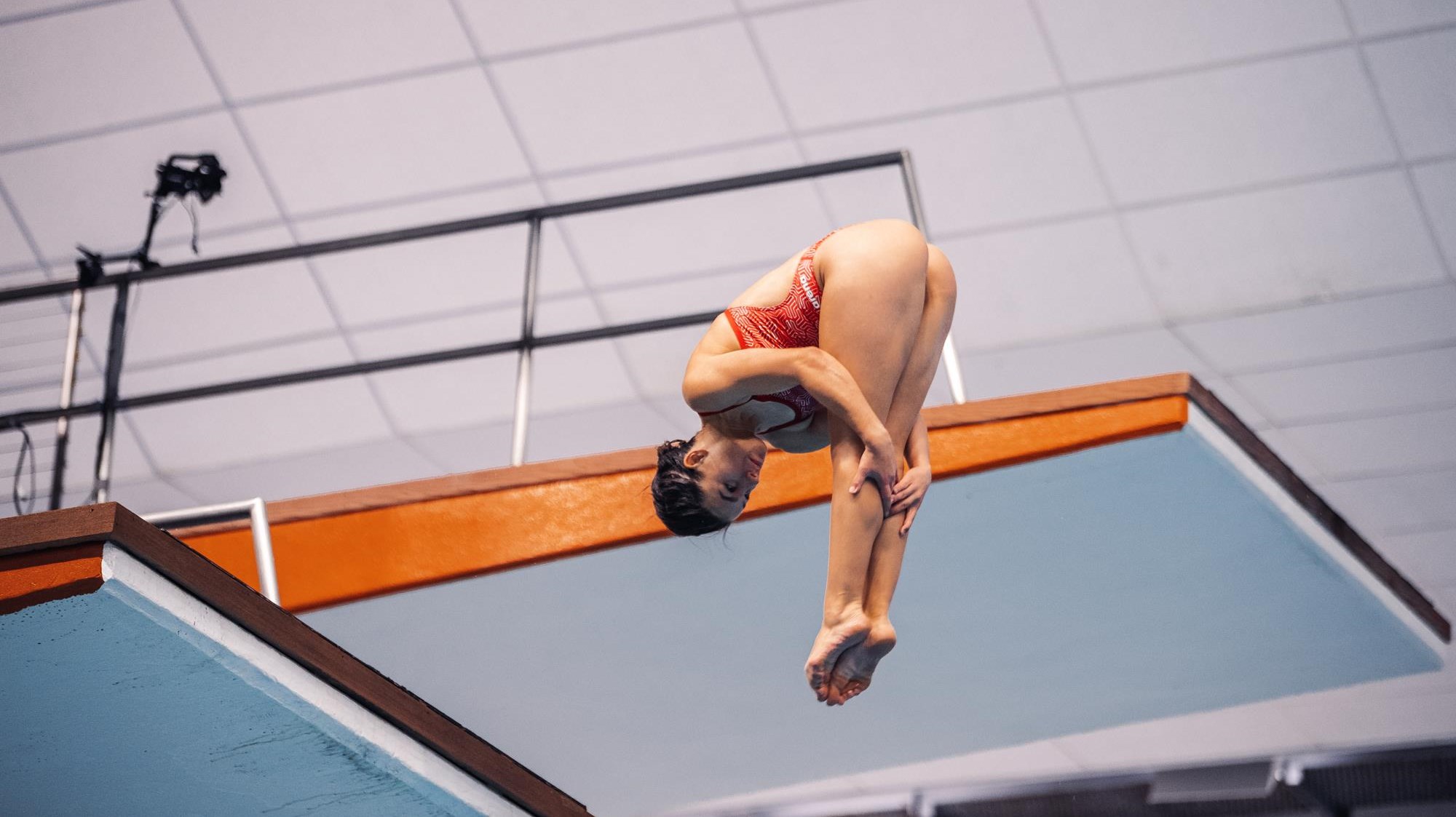 Lizzy DeCecco - Women's Swimming & Diving - University of Utah Athletics