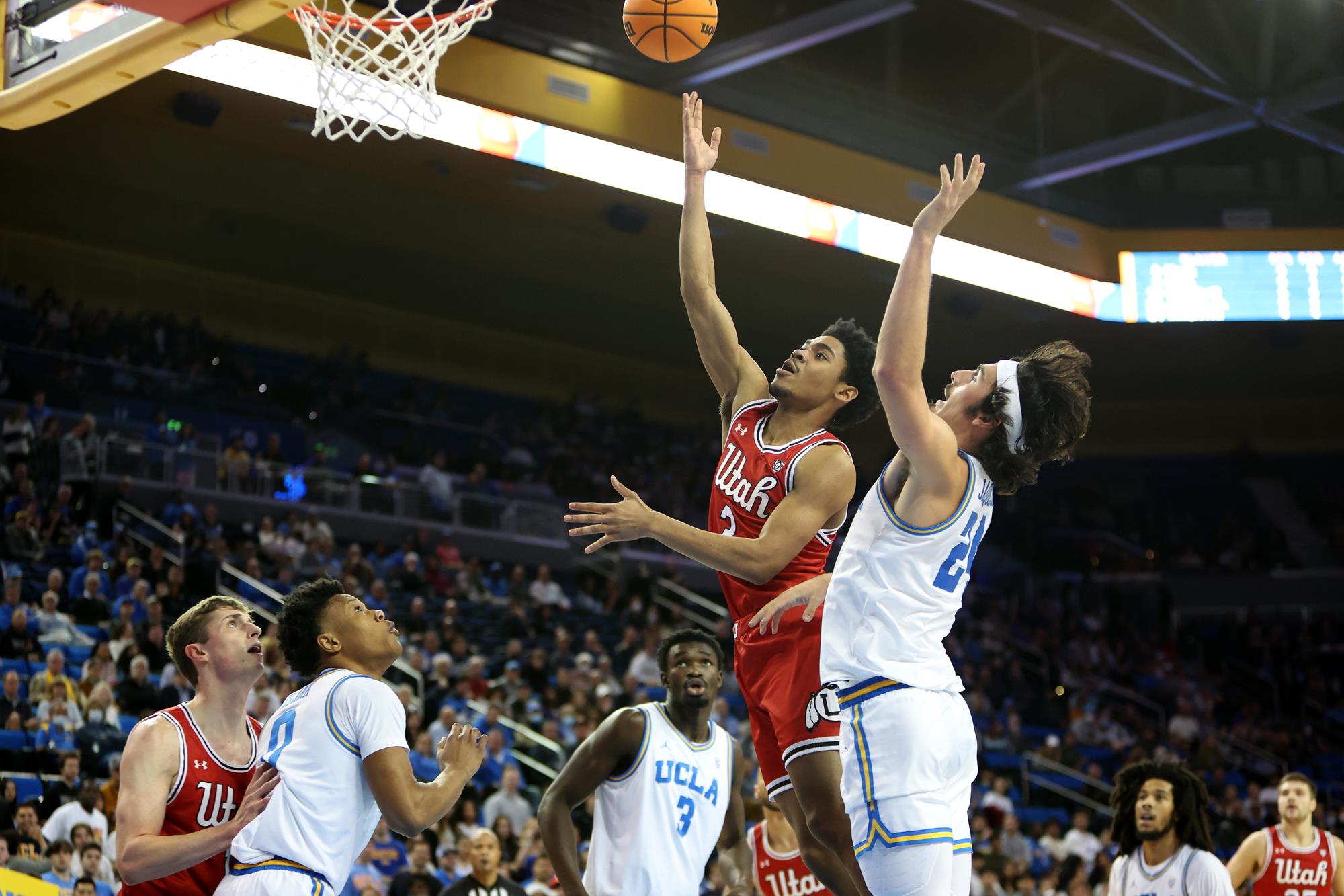 Bostyn Holt - Men's Basketball - University of Utah Athletics