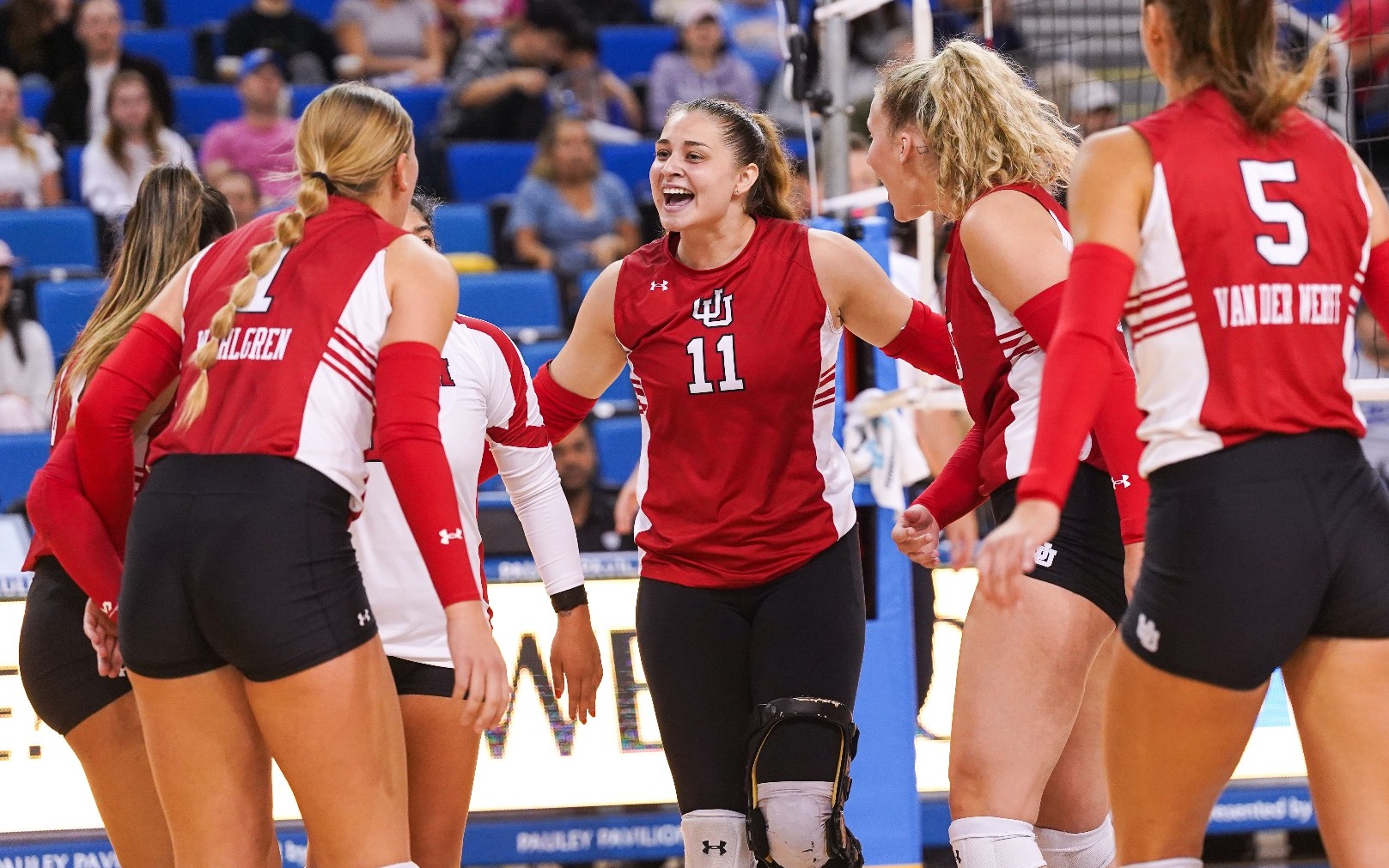 Kamry Bailey - Volleyball - University of Utah Athletics