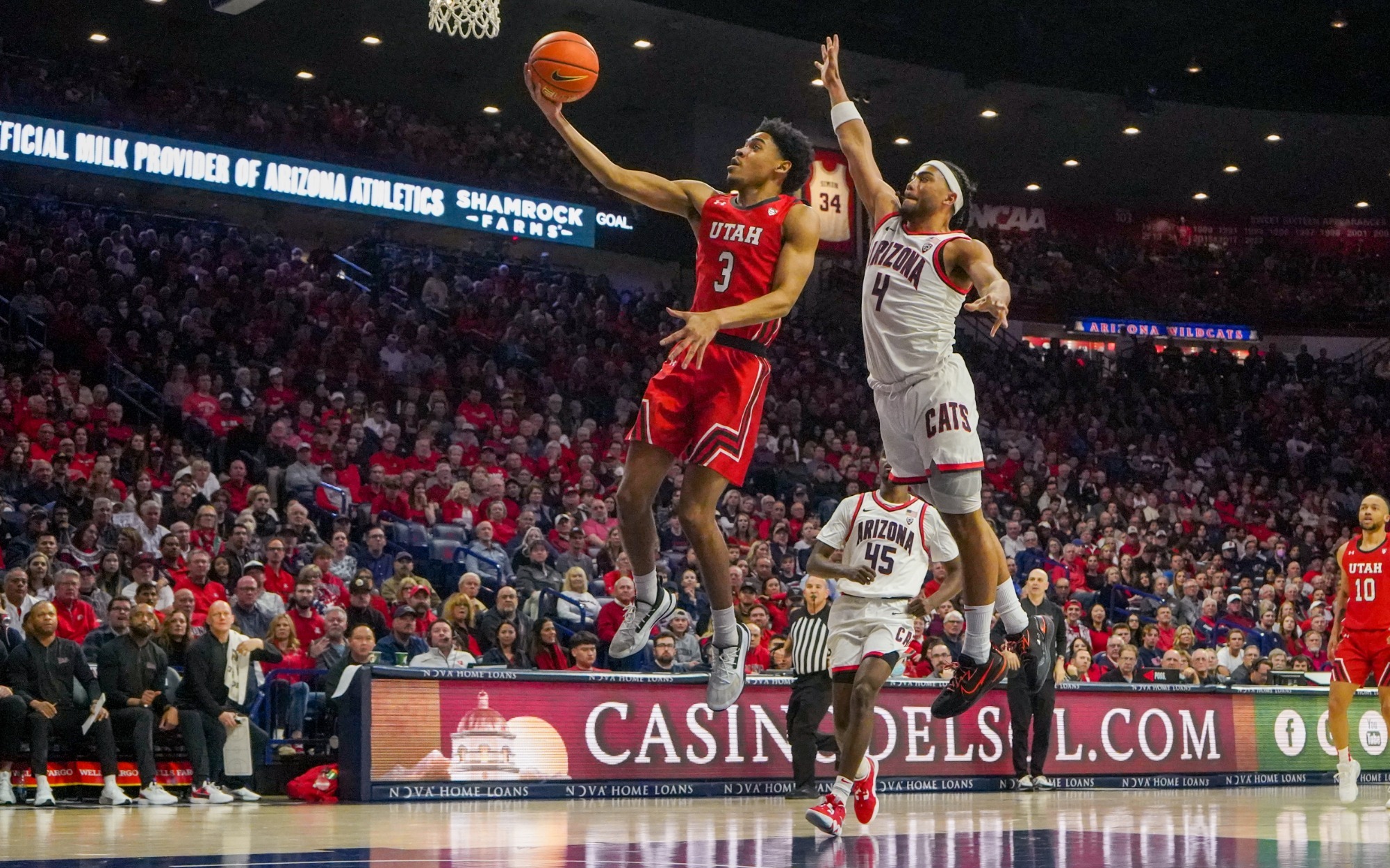 Bostyn Holt - Men's Basketball - University of Utah Athletics