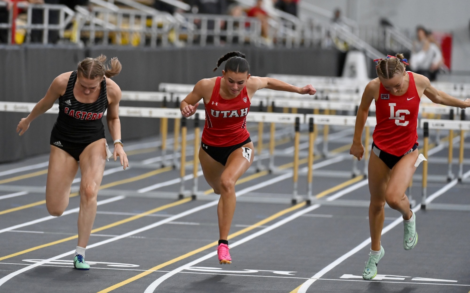 Harley Daniel - Track & Field - University of Utah Athletics