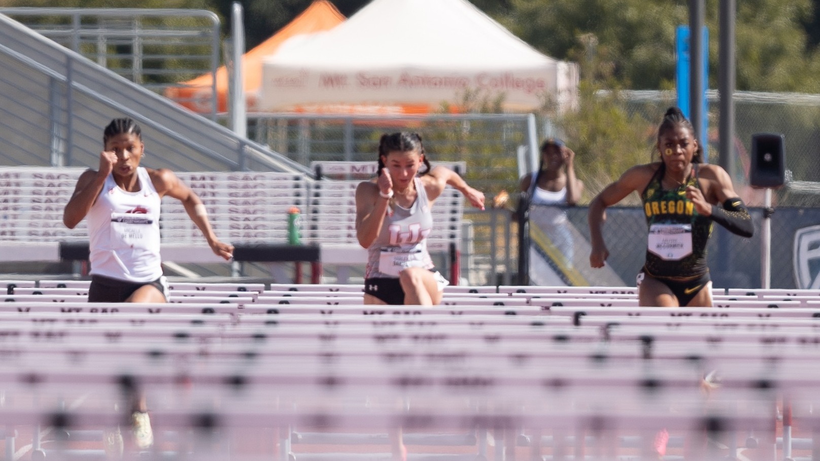 Harley Daniel - Track & Field - University of Utah Athletics