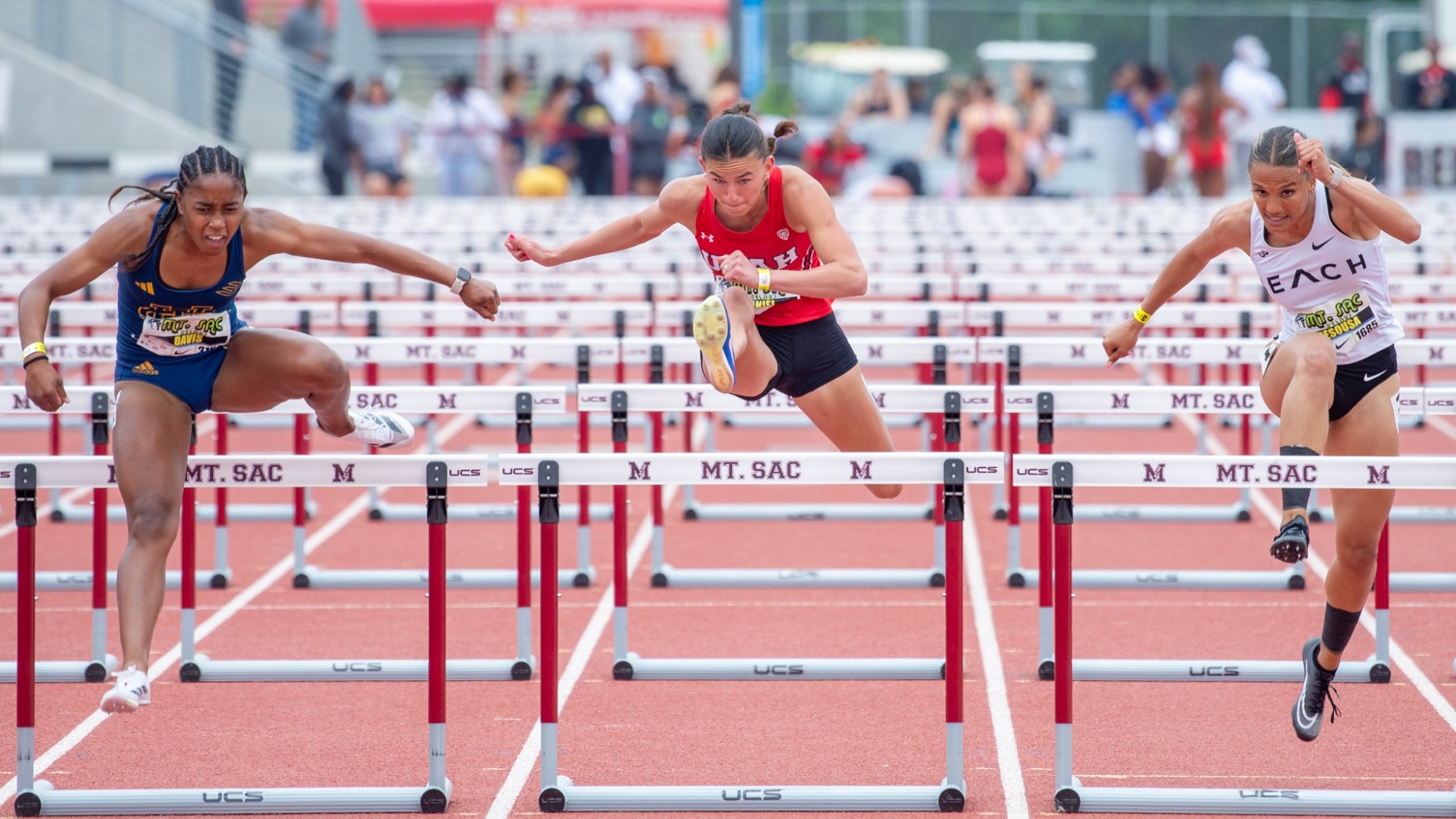 Harley Daniel - Track & Field - University of Utah Athletics