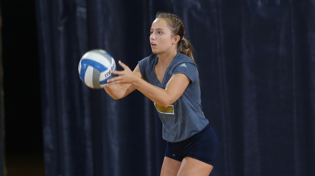 Lindsey Farrell - 2018 - Volleyball - University of Tennessee at ...