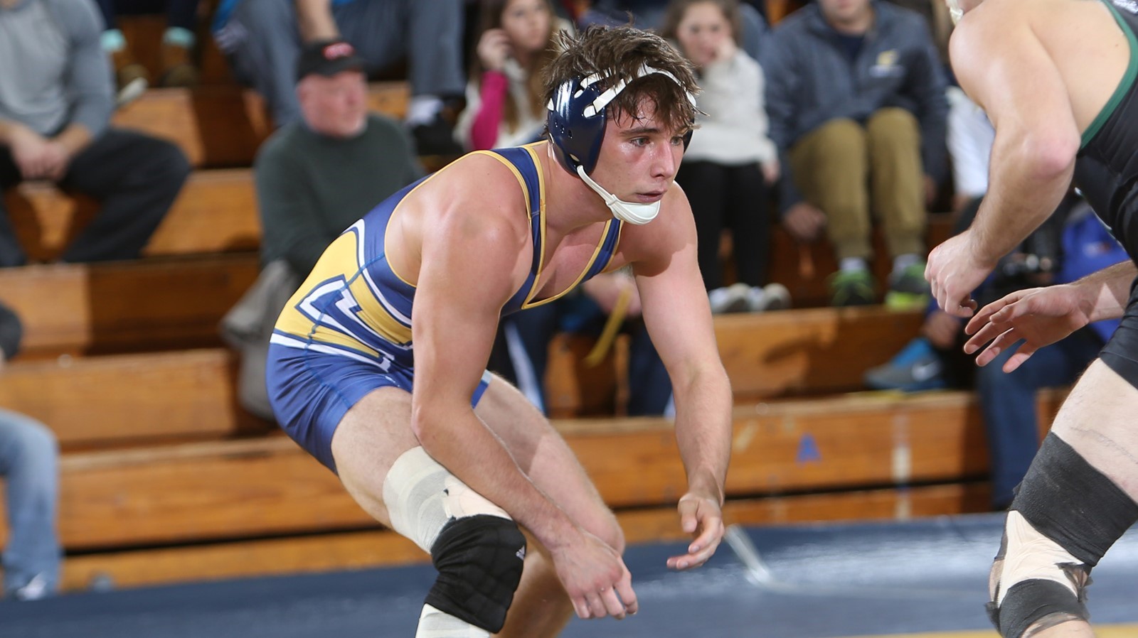 Roman Boylen - 2017-18 - Wrestling - University of Tennessee at ...