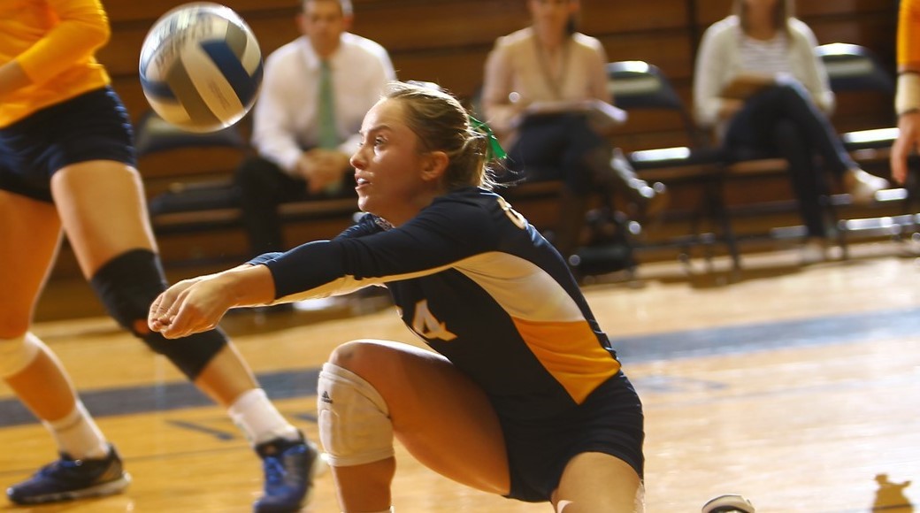 Lindsey Farrell - 2018 - Volleyball - University of Tennessee at ...