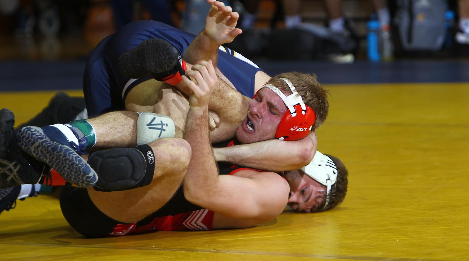 Hunter Fortner - 2020-21 - Wrestling - University of Tennessee at ...