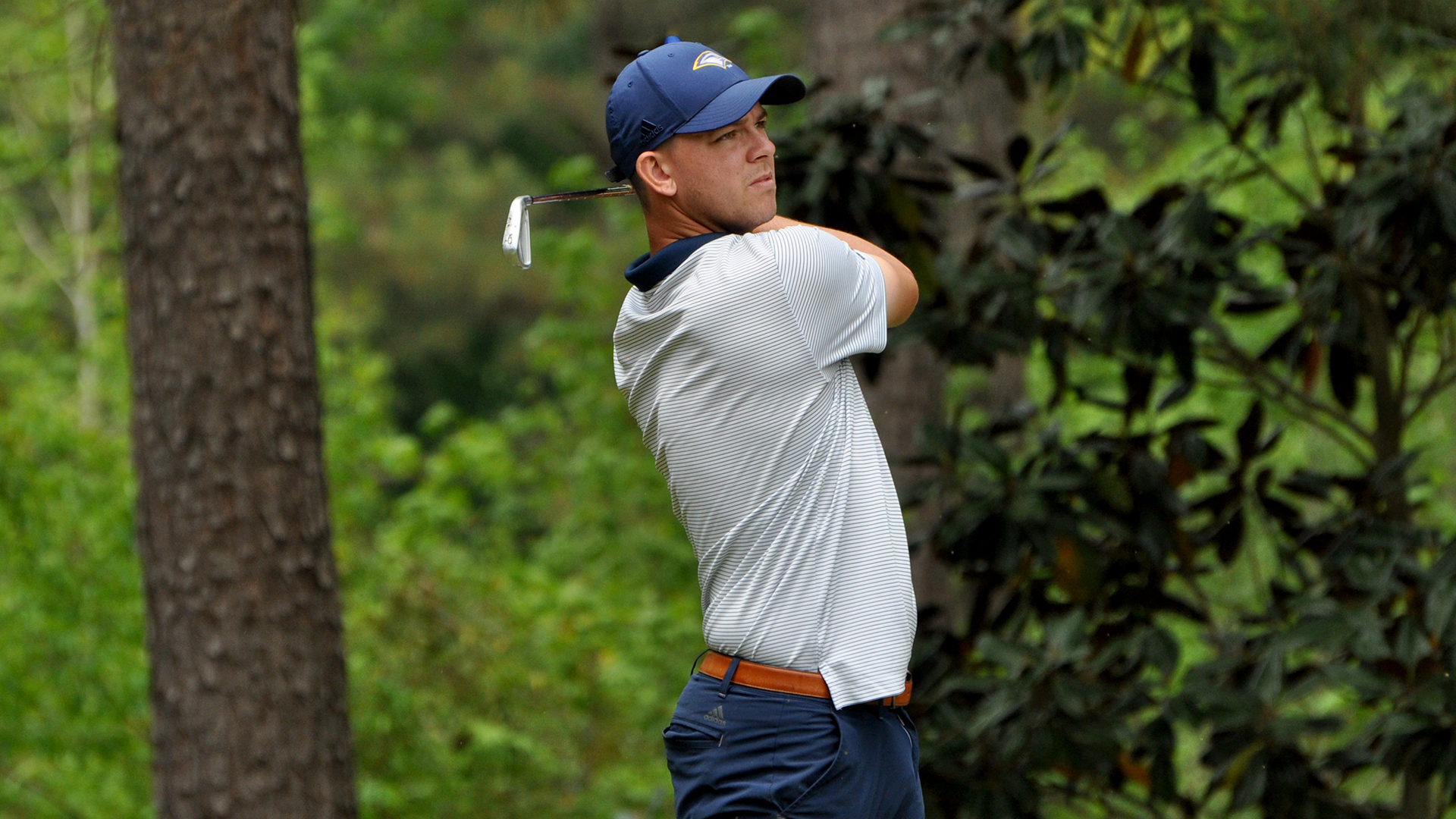 Connor Nolan - 2021-22 - Men's Golf - University of Tennessee at ...