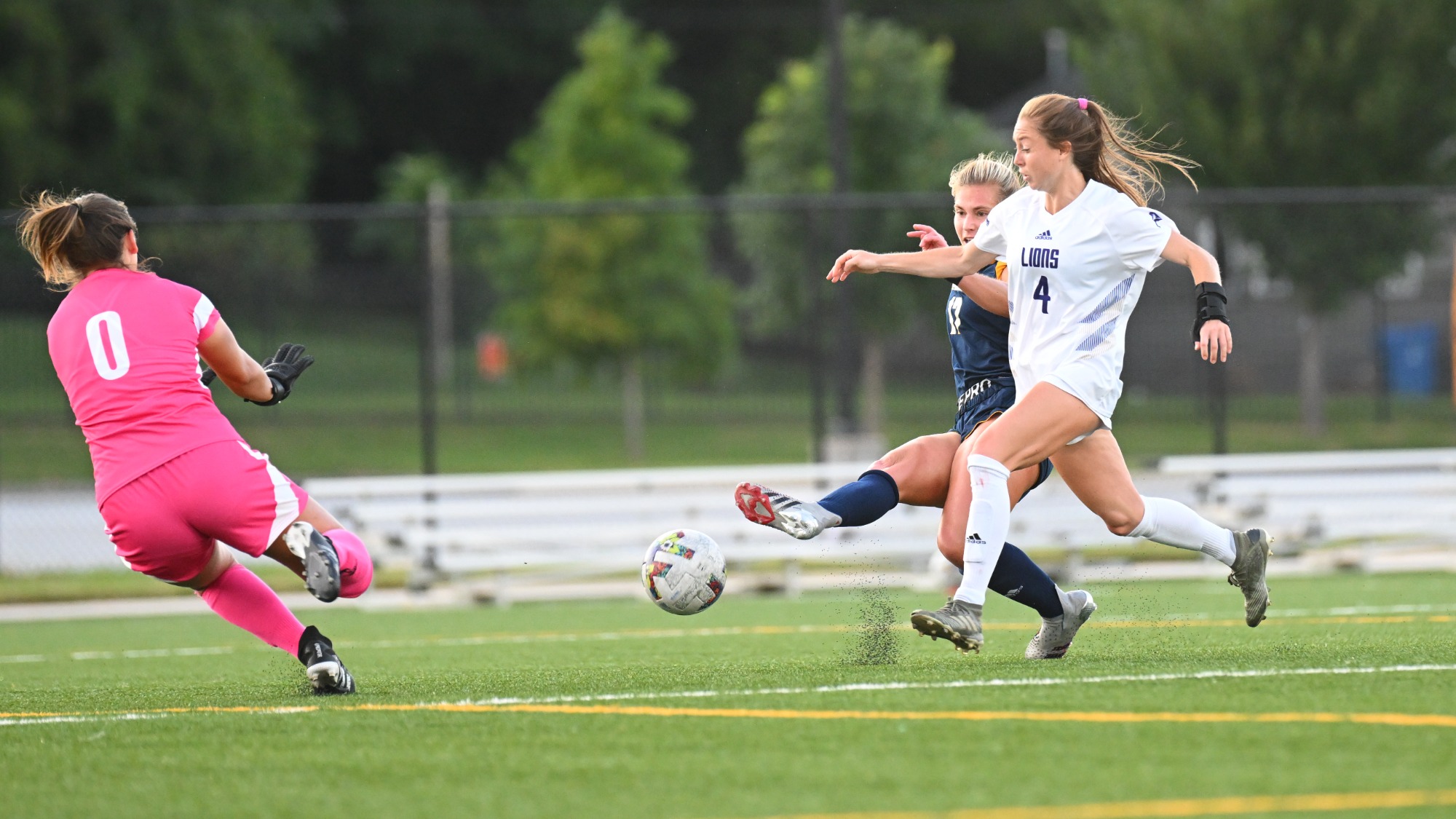 Shelby Hash - 2022 - Women's Soccer - University of Tennessee at ...