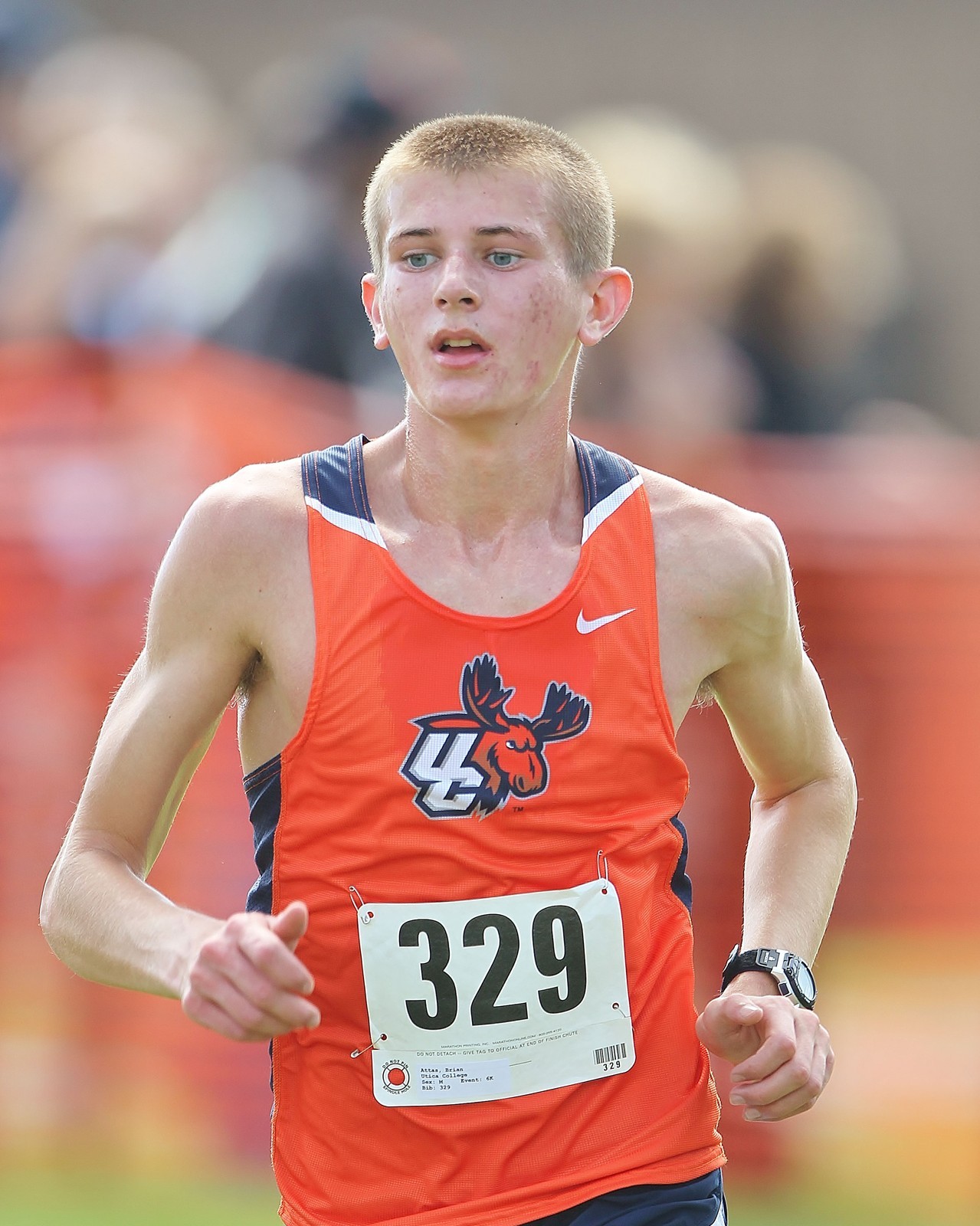 Brian Attas - Men's Cross Country - Utica University Athletics