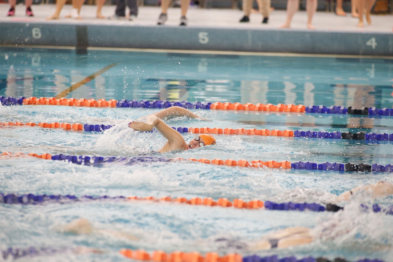 Swim & Dive Ready for First Home Meet - Utica University Athletics