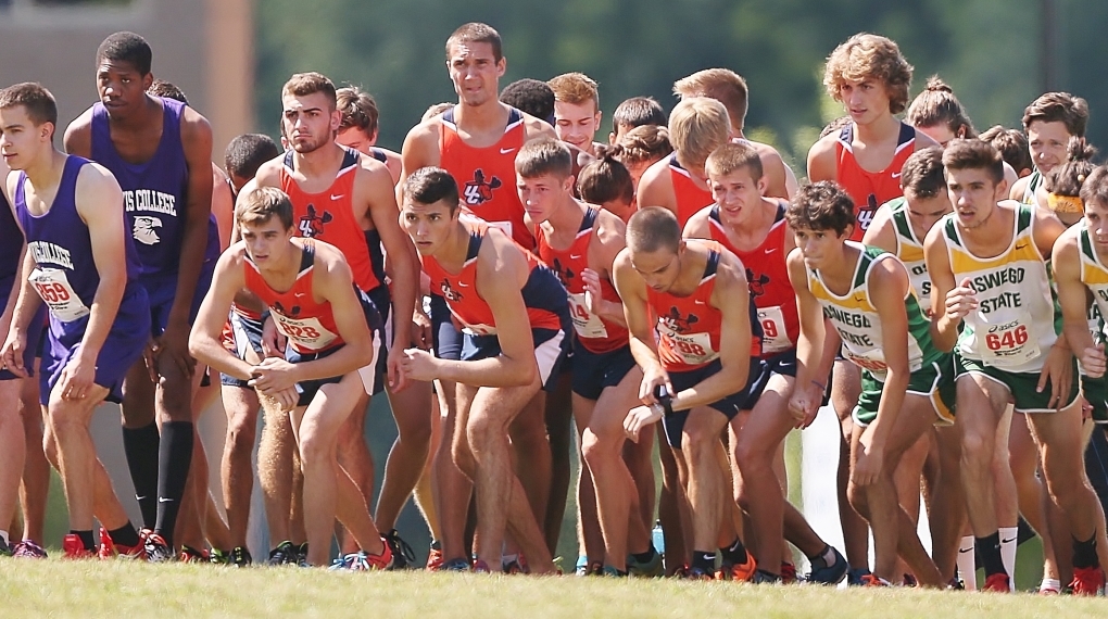 Liam Rodgers - Men's Cross Country - Utica University Athletics