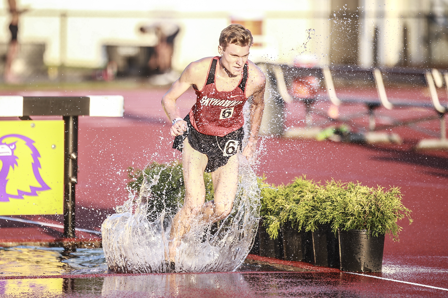 Tim Dye - Men's Cross Country - UTM Athletics