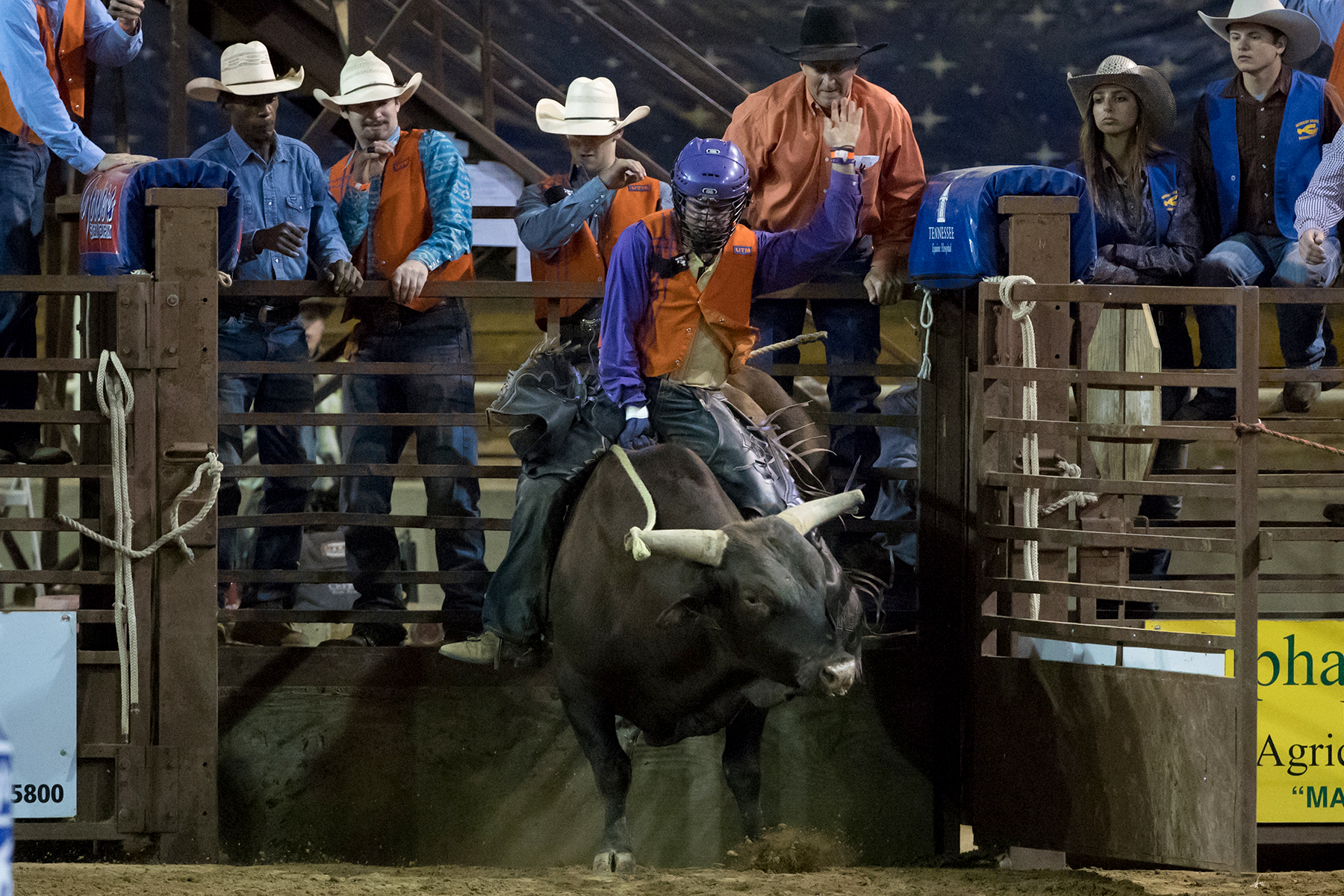 Ryan McDaniel - Rodeo - UTM Athletics