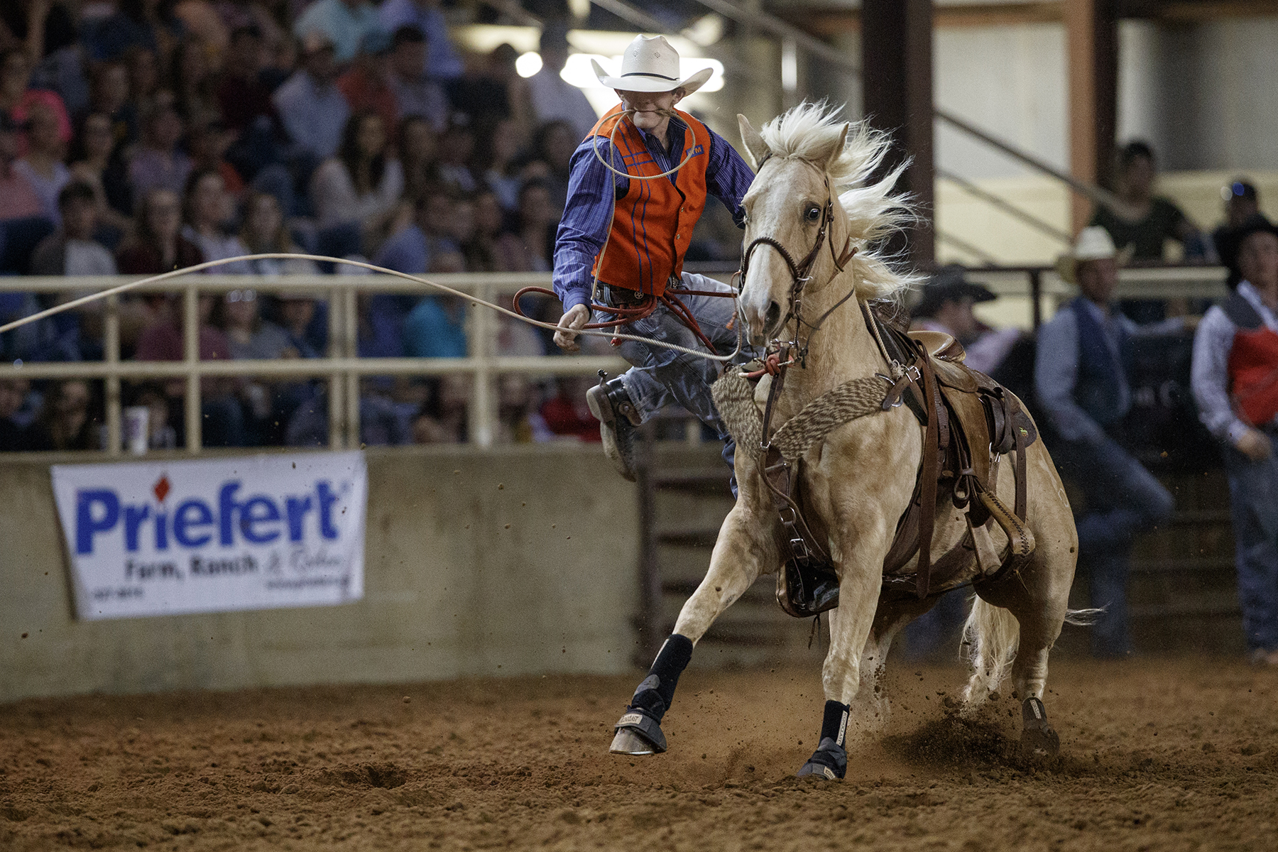 Ross Mitchell - Rodeo - UTM Athletics