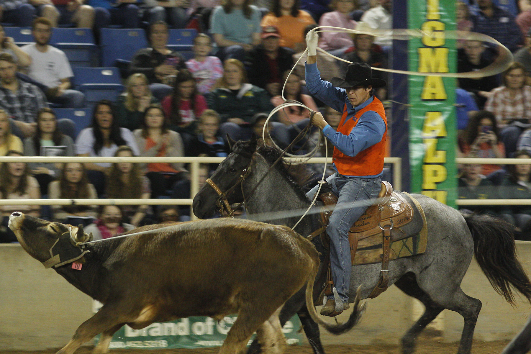 Clay Tilley - Rodeo - UTM Athletics