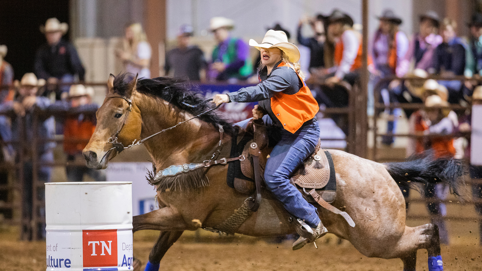 Casey Allen - Rodeo - UTM Athletics