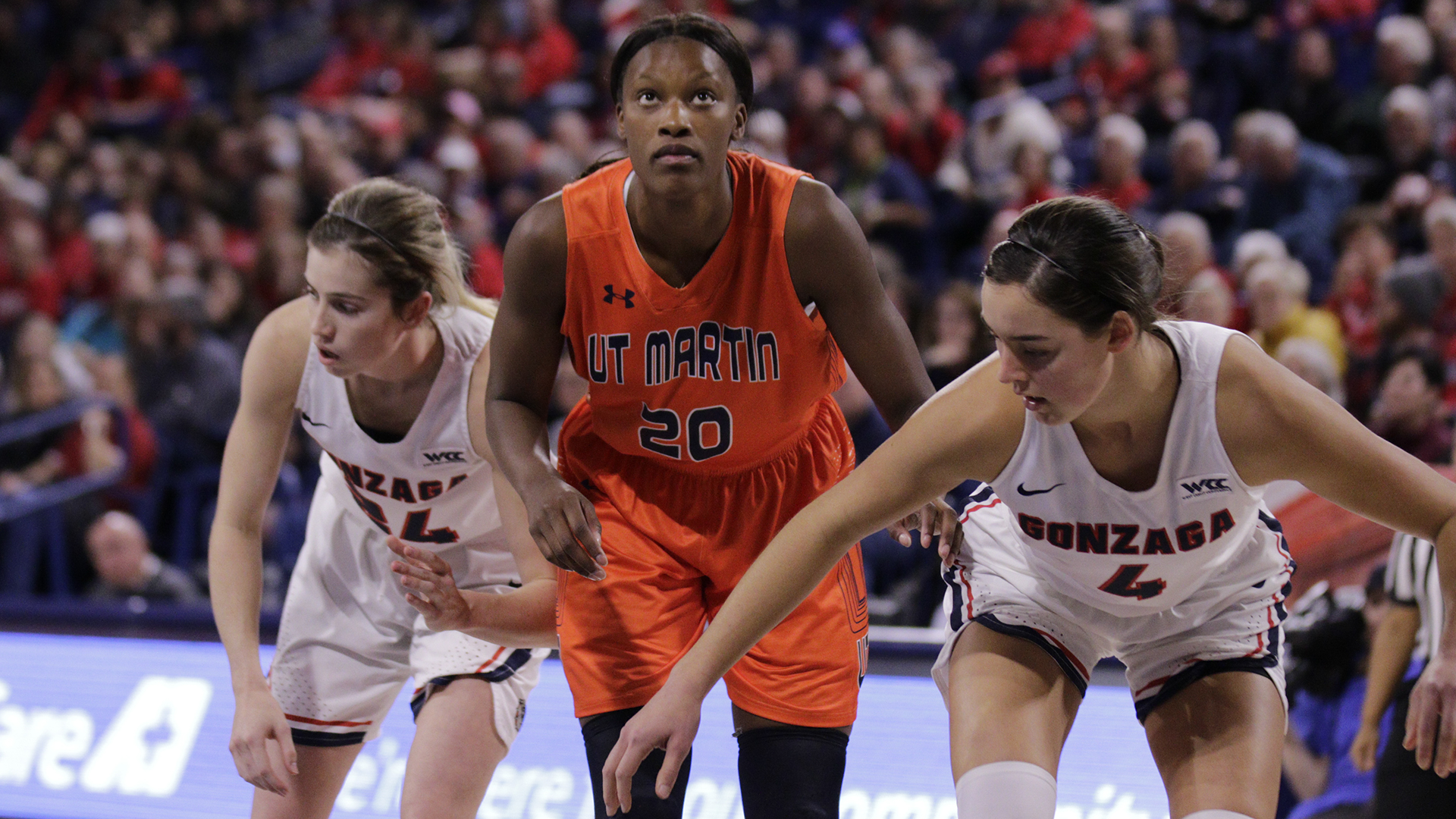 Chelsey Perry - Women's Basketball - UTM Athletics