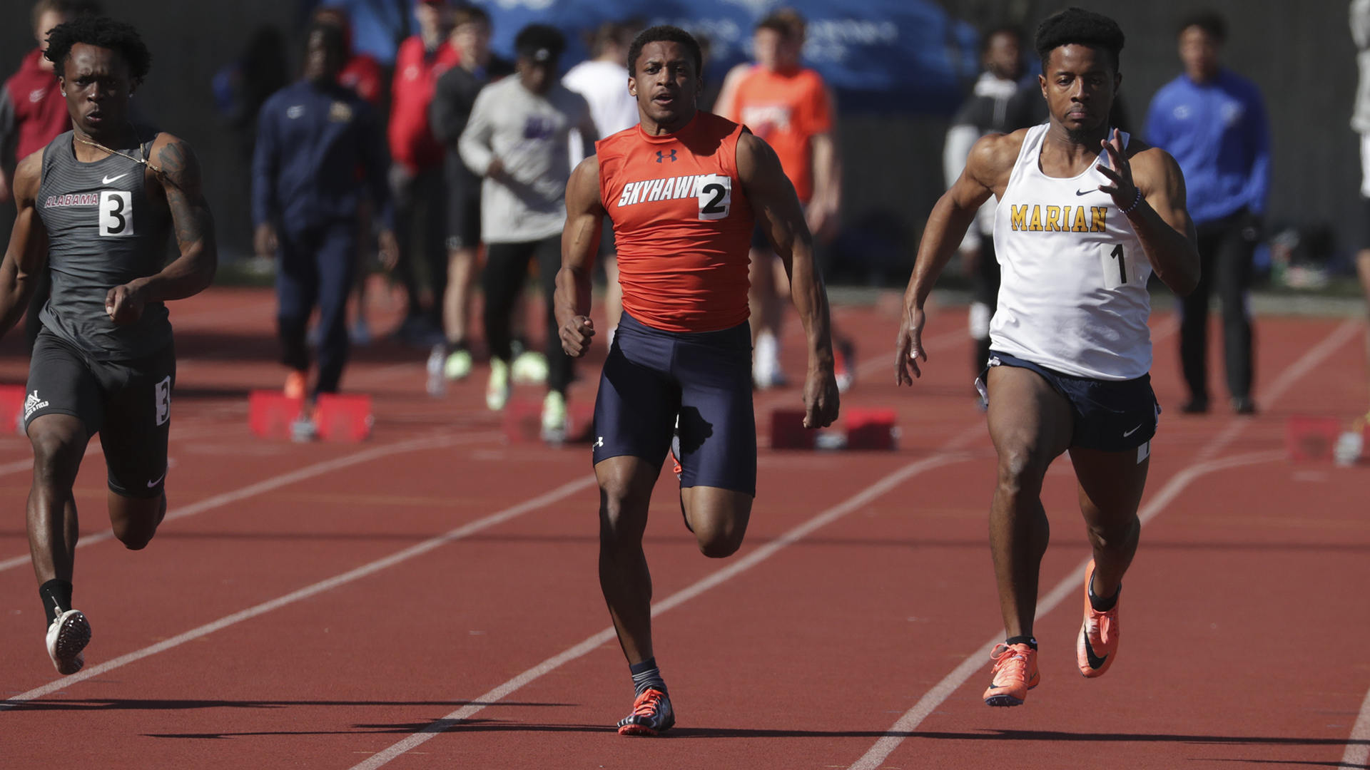 Colby Martin - Men's Track and Field - UTM Athletics