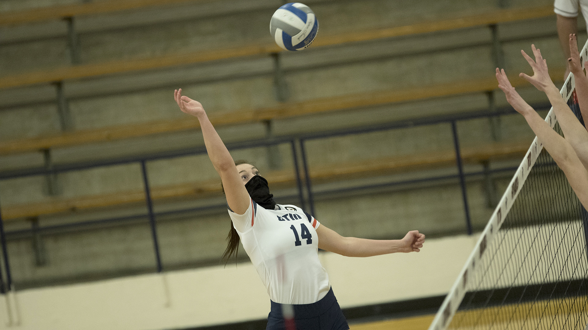 Addison Conley - Volleyball - UTM Athletics