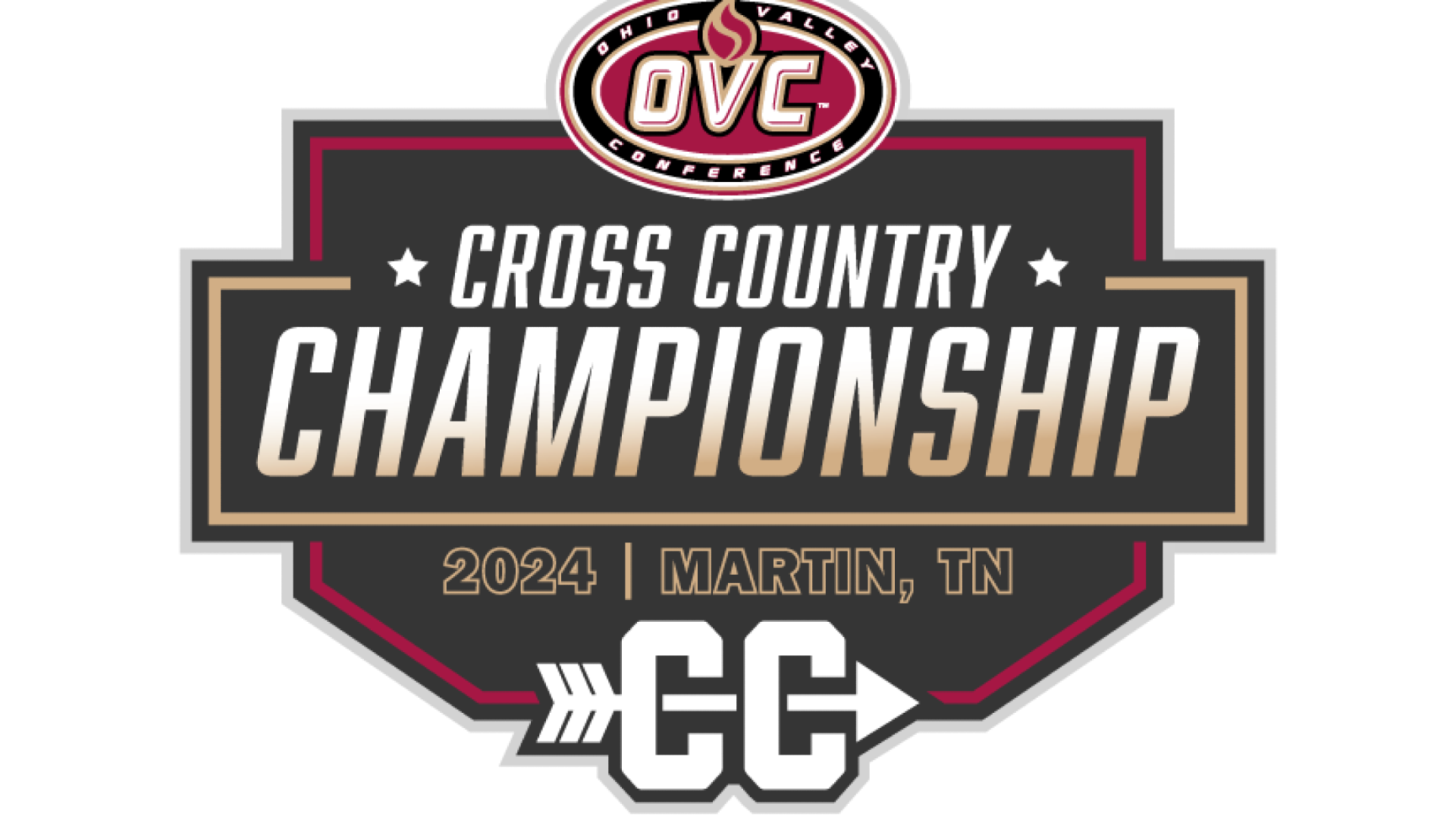 Skyhawk Men’s Cross Country Lands Multiple PRs in NCAA South Regional ...