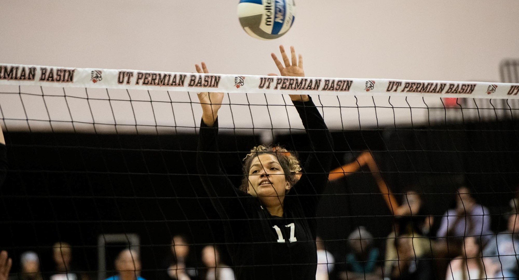 Chandra Reed - Women's Volleyball - UTPB Athletics