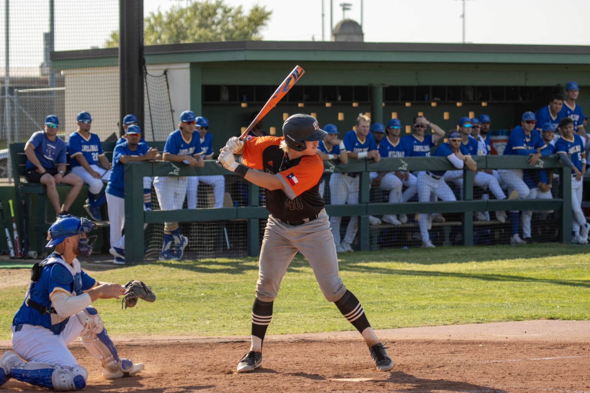 Ethan Babcock-Barrie - Baseball - UTPB Athletics