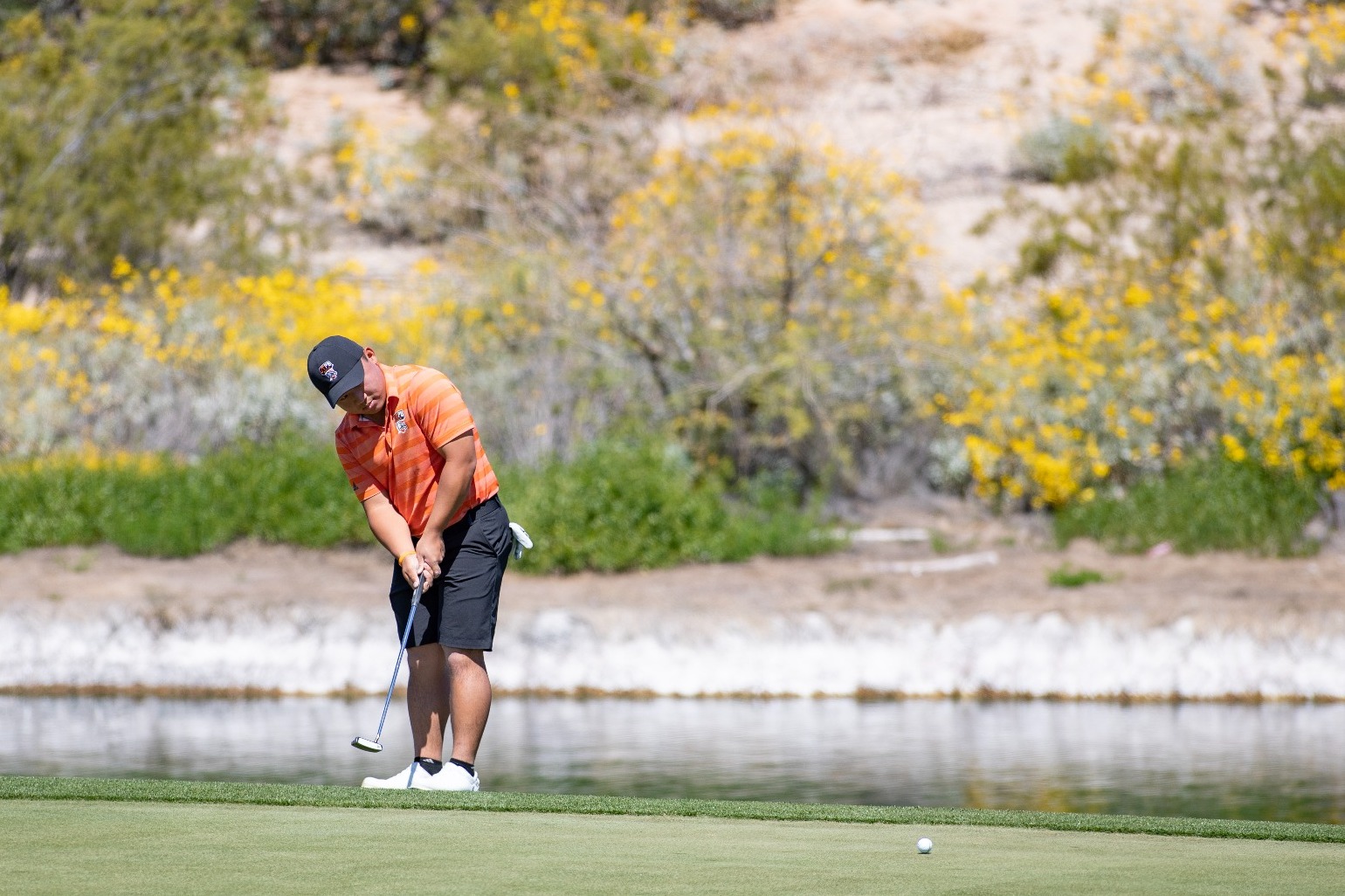 Sangha Park - Men's Golf - UTPB Athletics