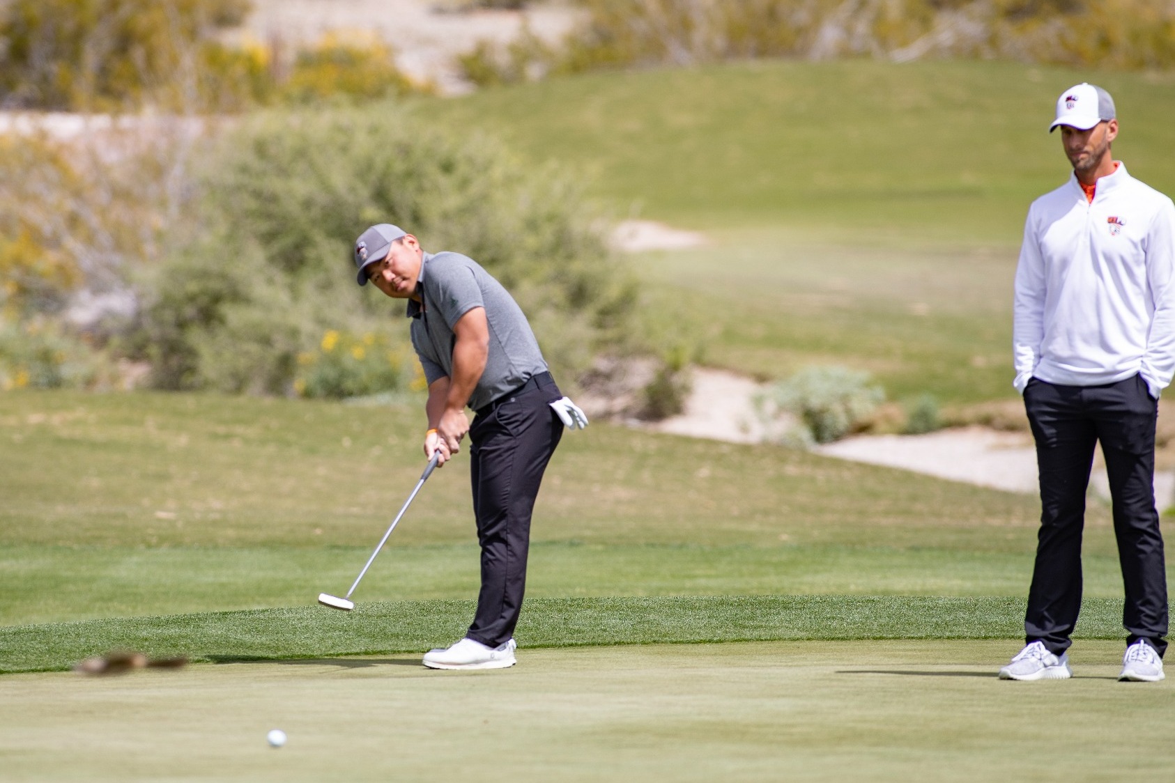 Sangha Park - Men's Golf - UTPB Athletics