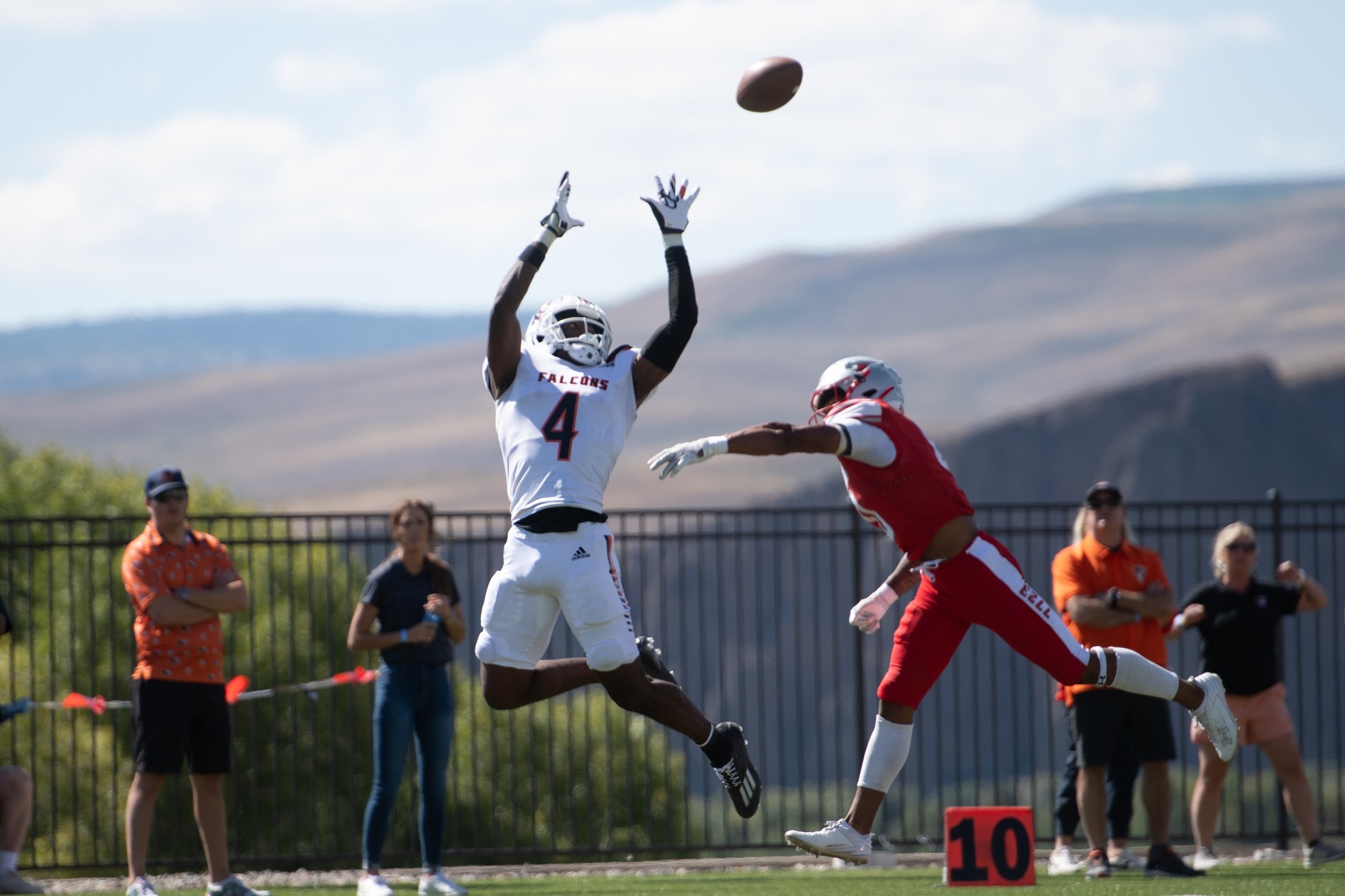 Falcons Fall Short In Comeback Bid - UTPB Athletics