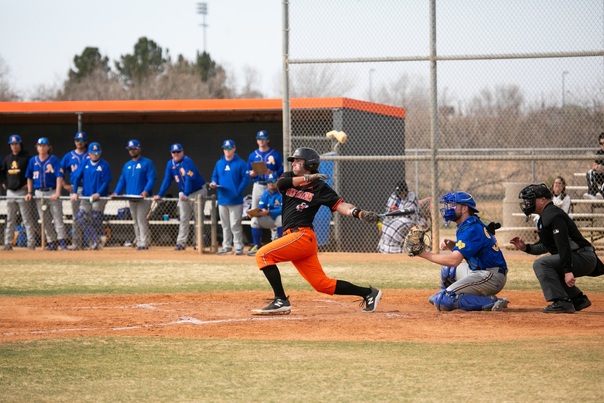 Falcons Knock Down Rams - UTPB Athletics