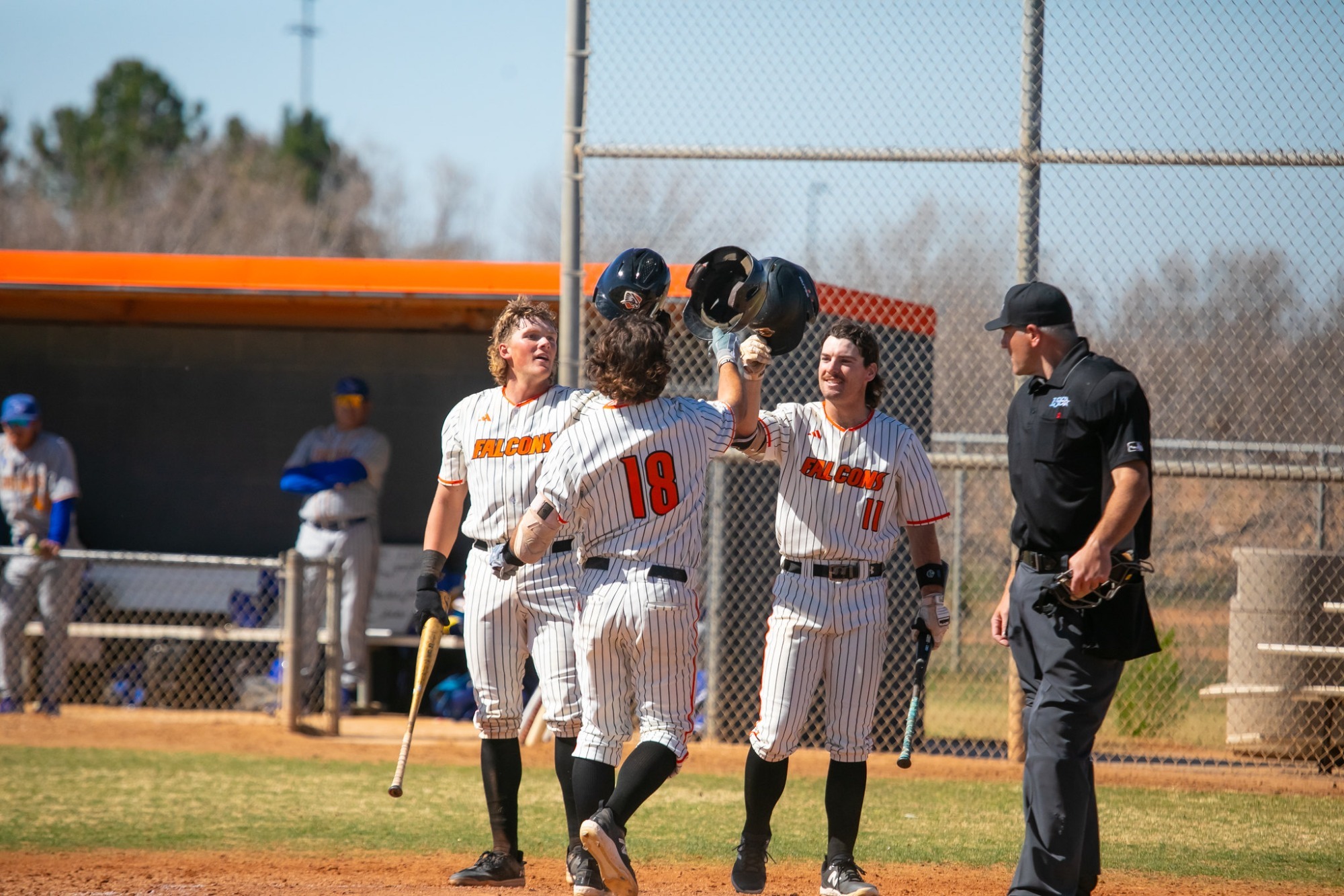 Falcons Slug Their Way to Doubleheader Sweep of Aggies - UTPB Athletics