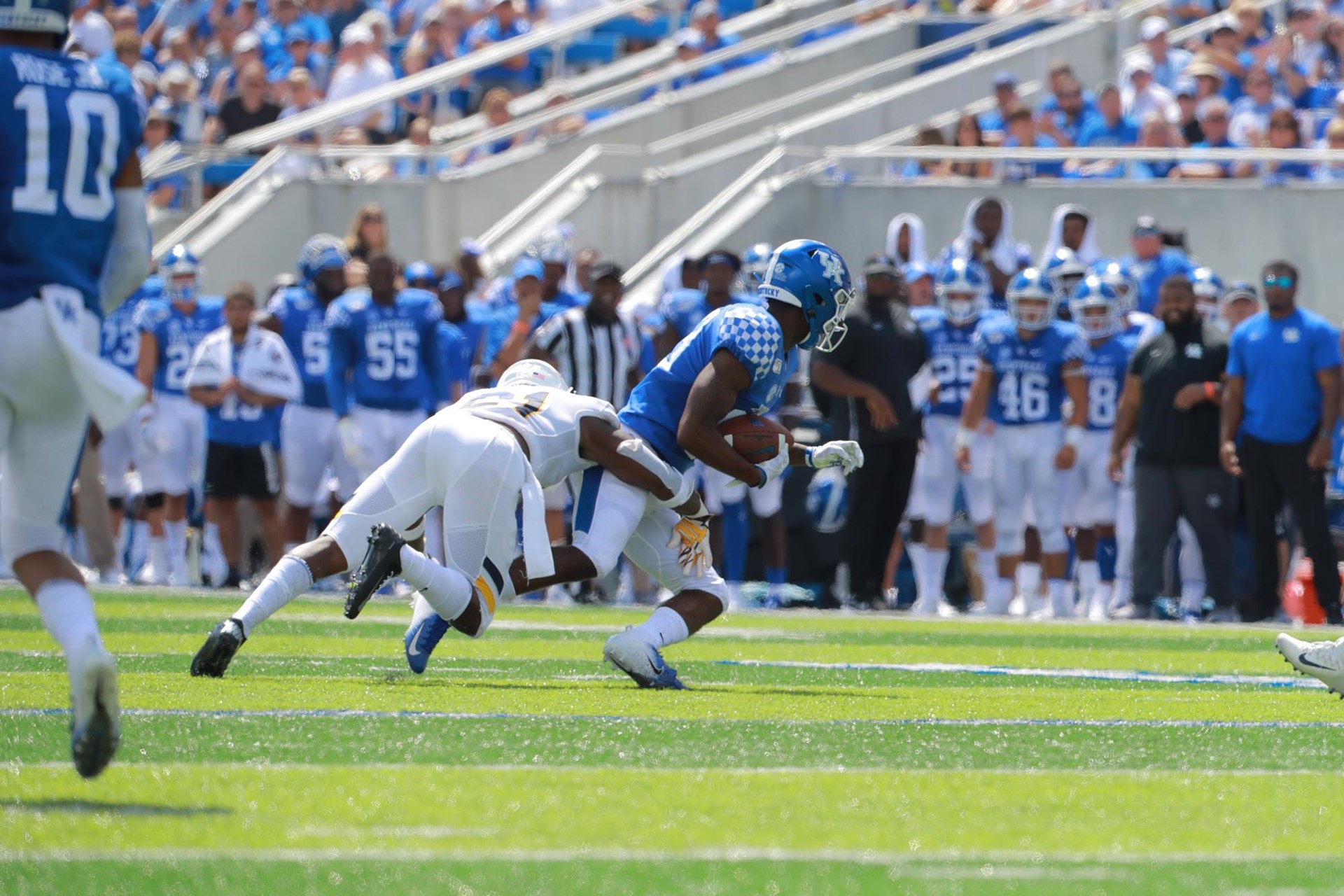 DeDarallo Blue - Football - University of Toledo Athletics