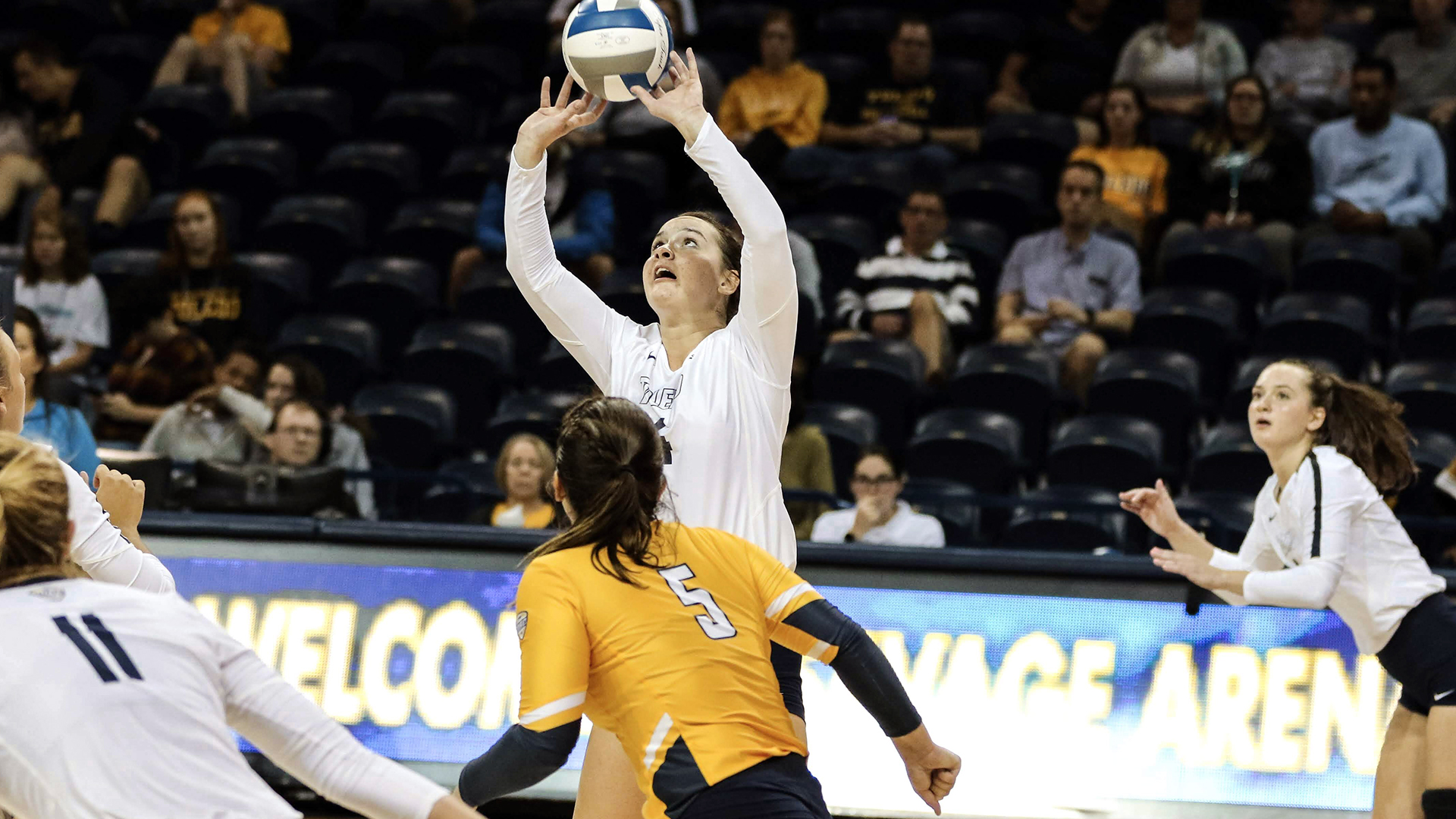 Megan Beasley - Women's Volleyball - University of Toledo Athletics