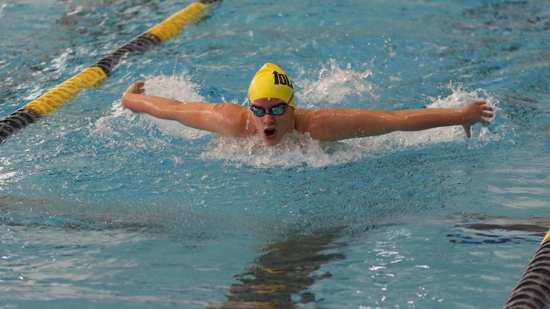 Morgan Schuld - Women's Swimming and Diving - University of Toledo ...