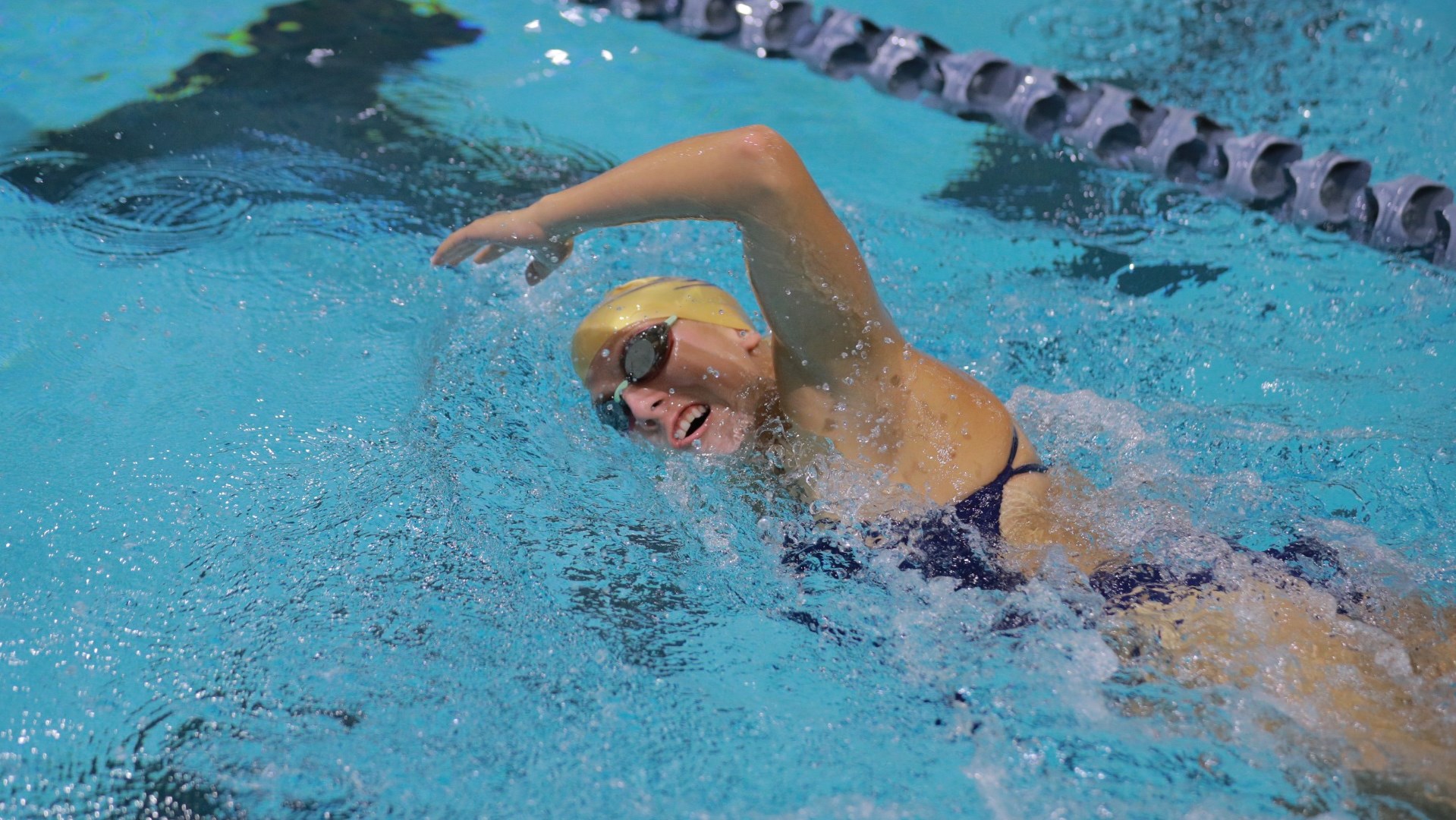 Alexis Schrecongost - Women's Swimming and Diving - University of ...