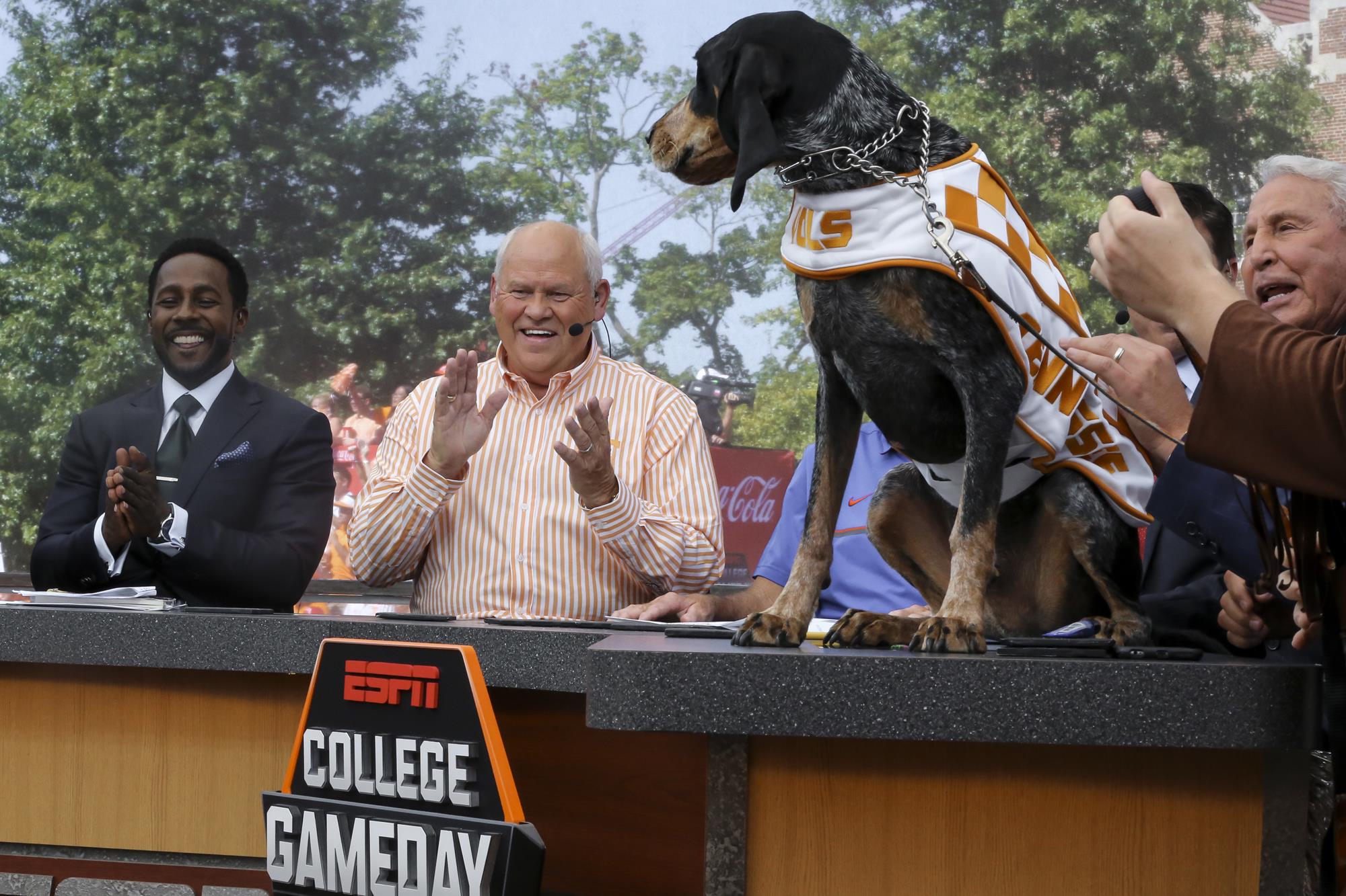 Smokey X - Cheer, Dance & Mascots - University of Tennessee Athletics